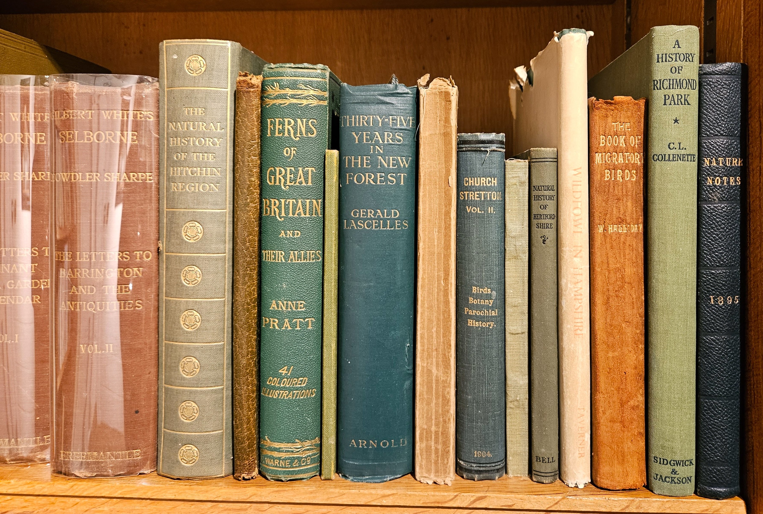 Lot 145 - Wise (John R.). The New Forrest, Its History