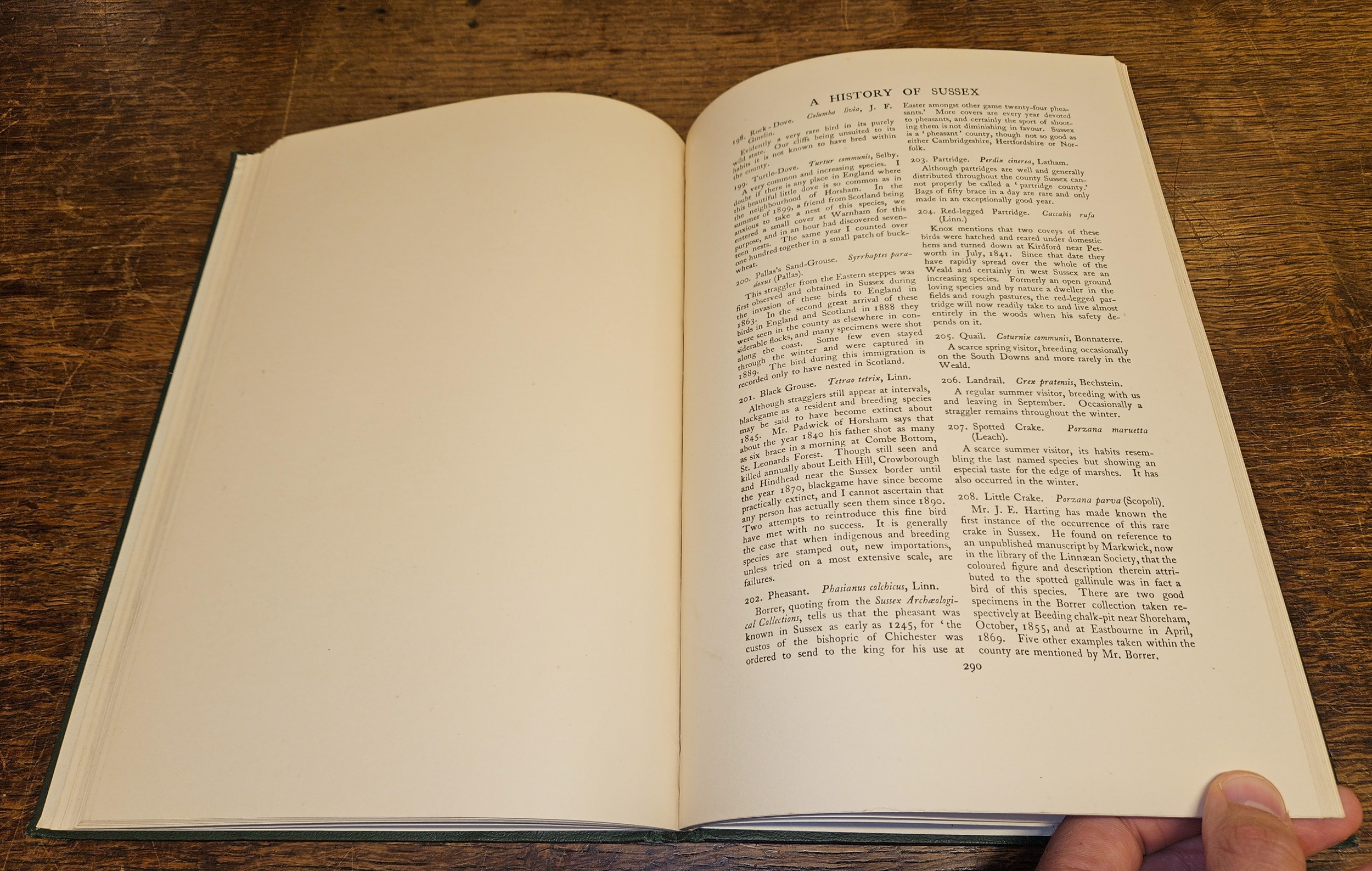 Lot 96 - Borrer (William). The Birds of Sussex, and