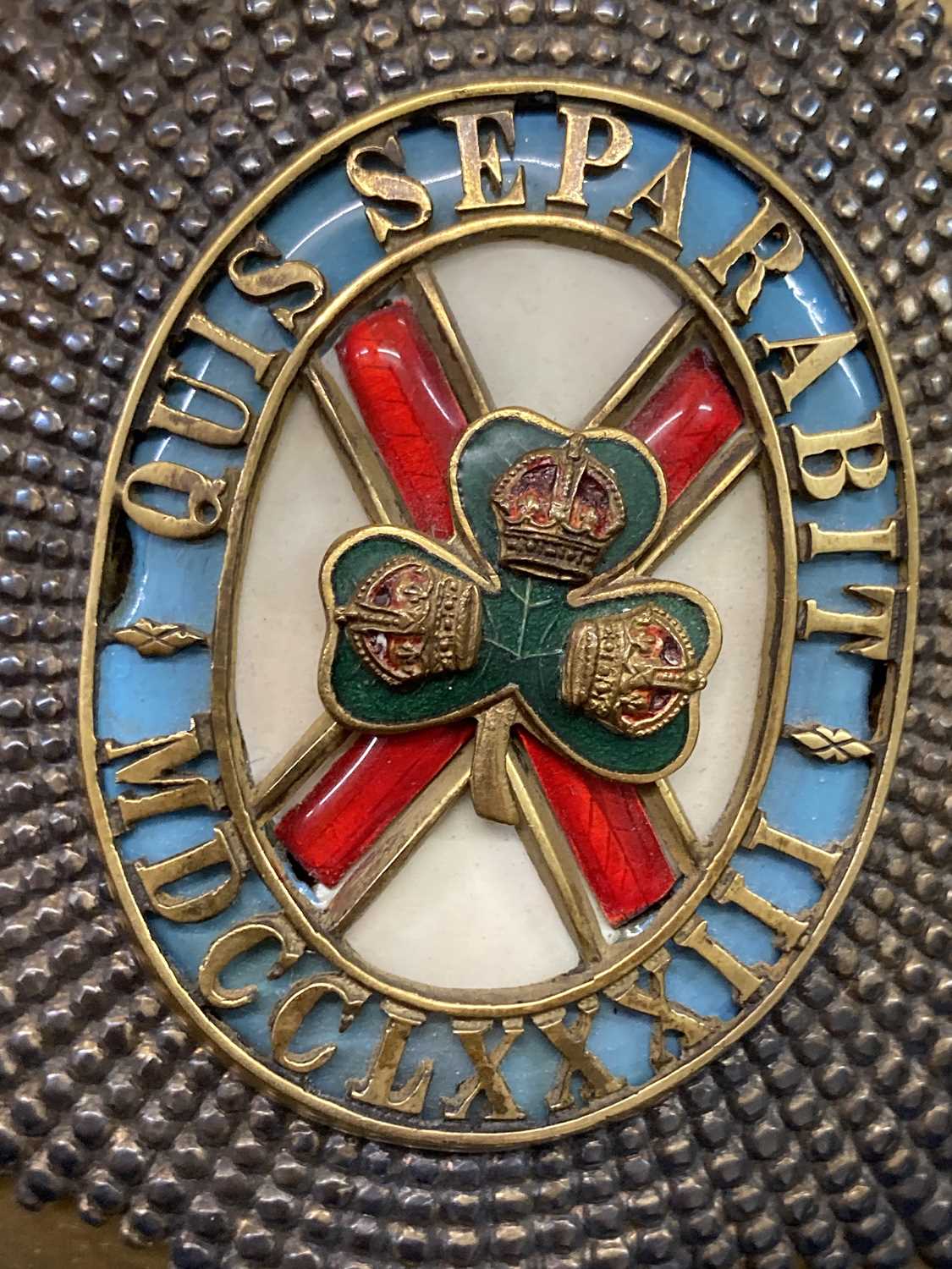 Lot 365 - Royal Irish, 4th Dragoon Guards Parade