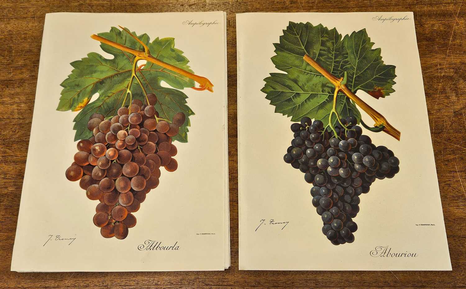 Lot 186 - Viala (Pierre & Victor Vermorel). 18 plates