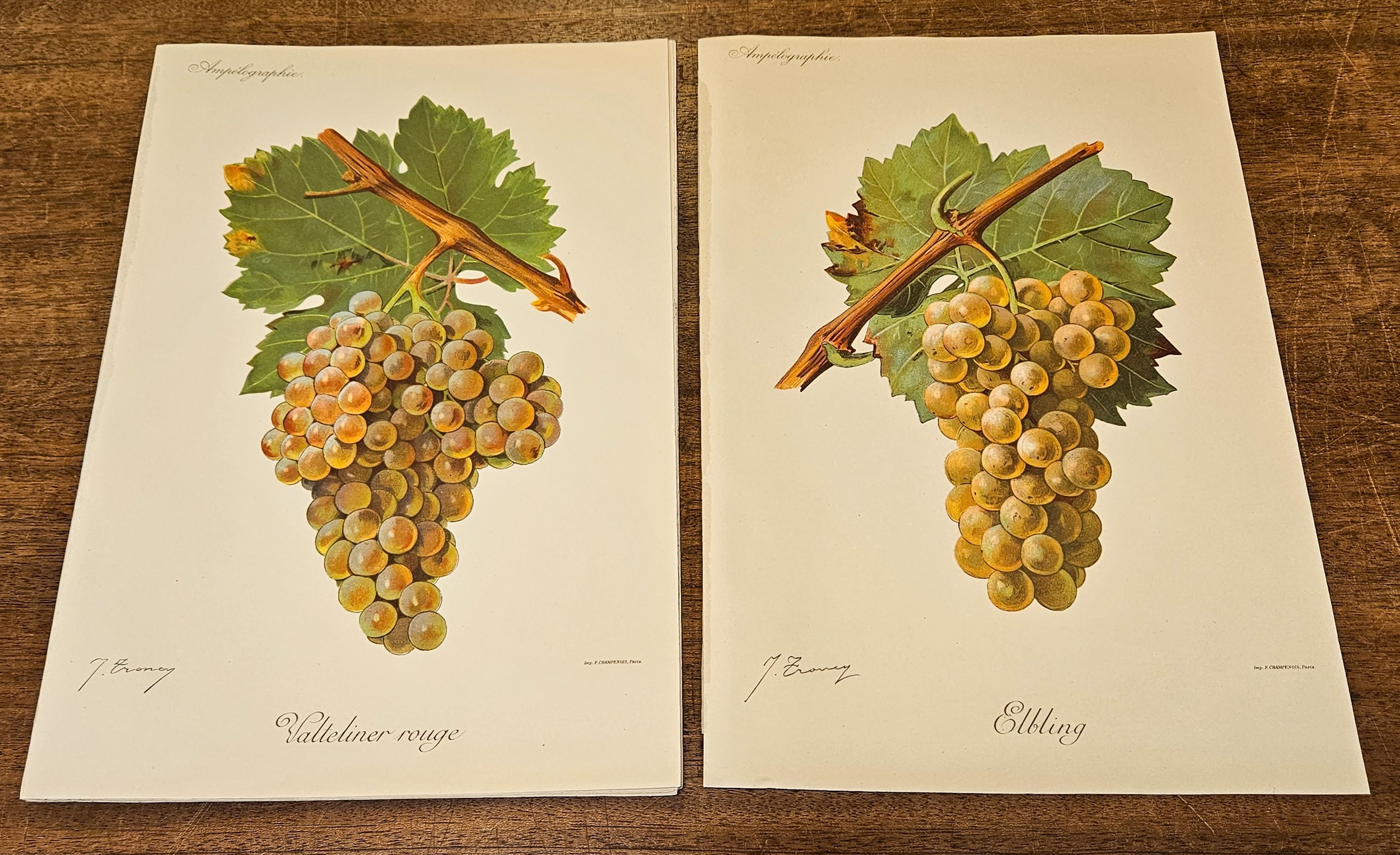 Lot 186 - Viala (Pierre & Victor Vermorel). 18 plates