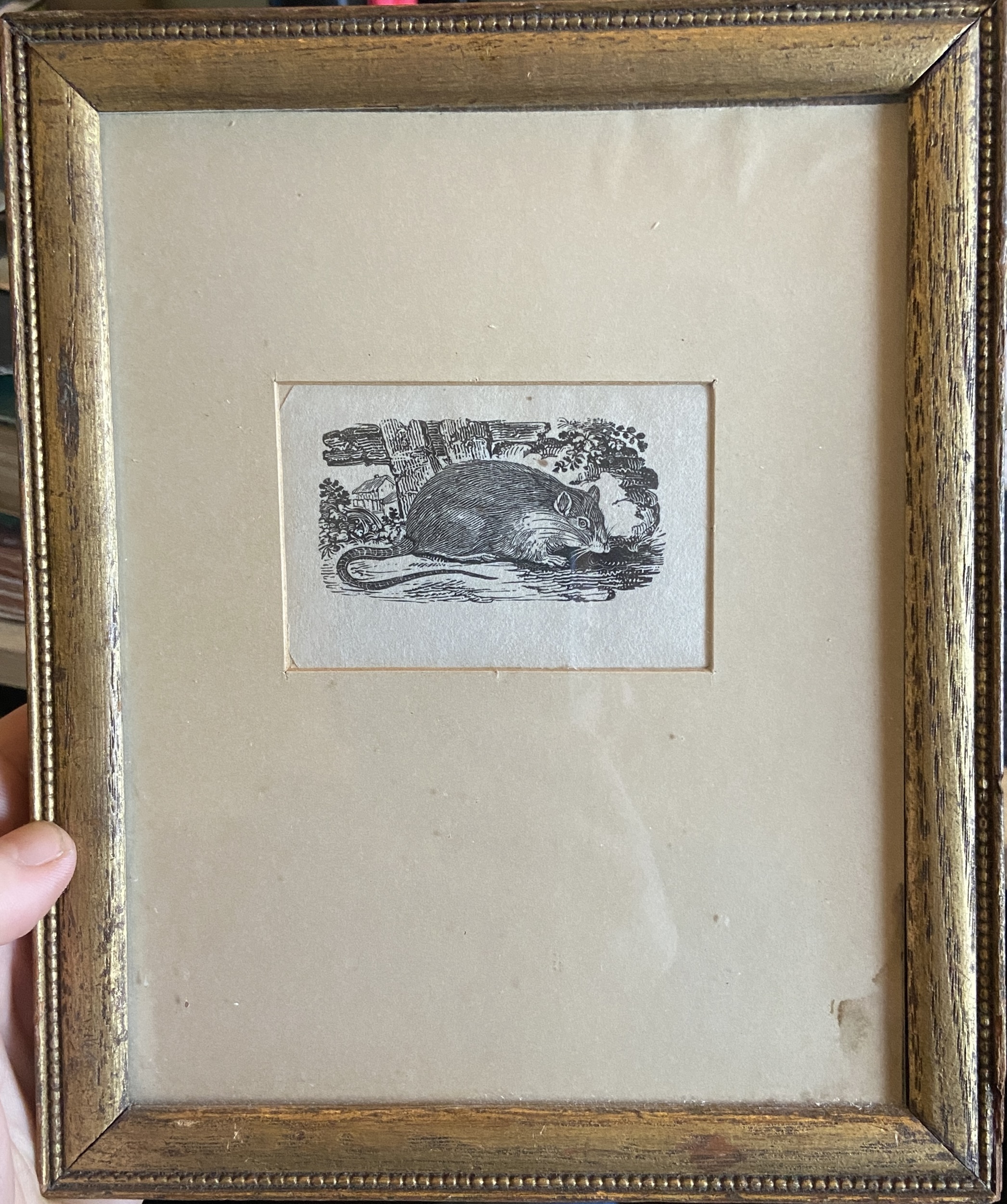 Lot 39 - Attributed to Thomas Bewick (1753-1828). The