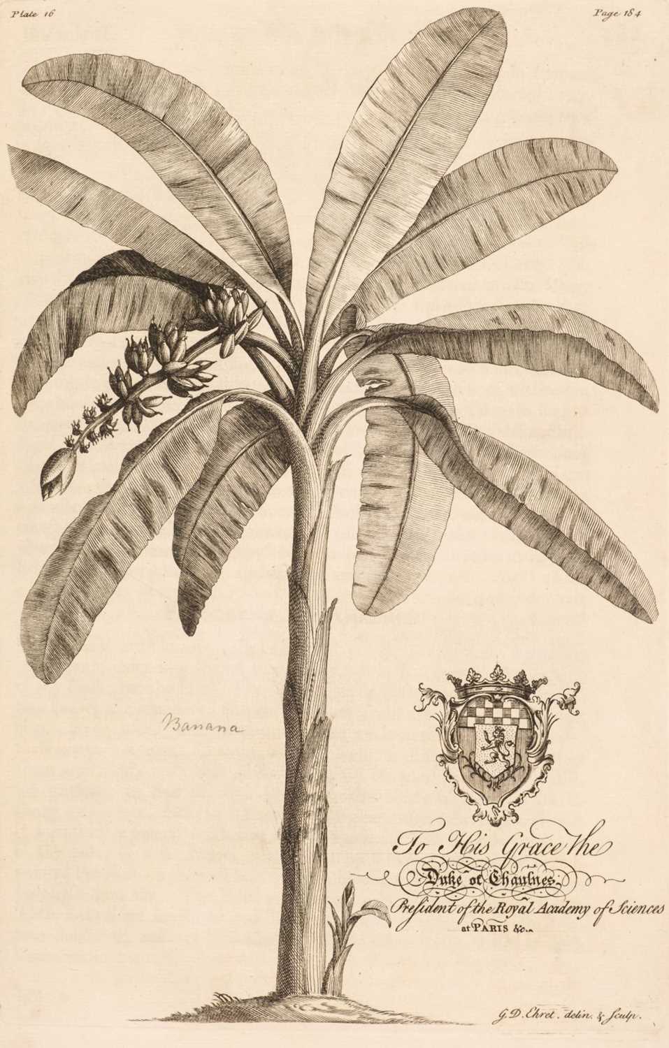 Lot 15 - Hughes (Griffith). The Natural History of