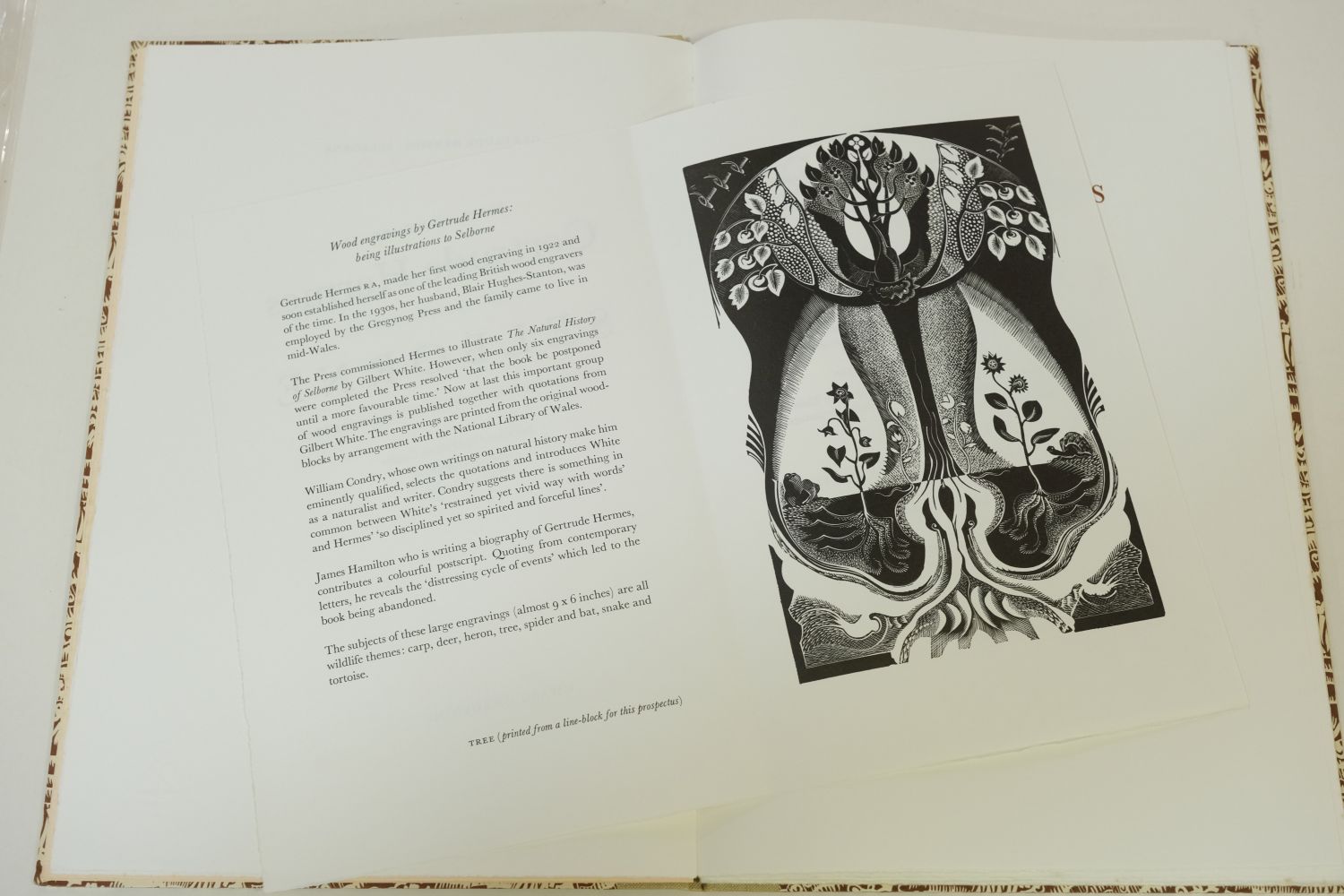 Lot 804 - Gregynog Press. Wood Engravings by Gertrude