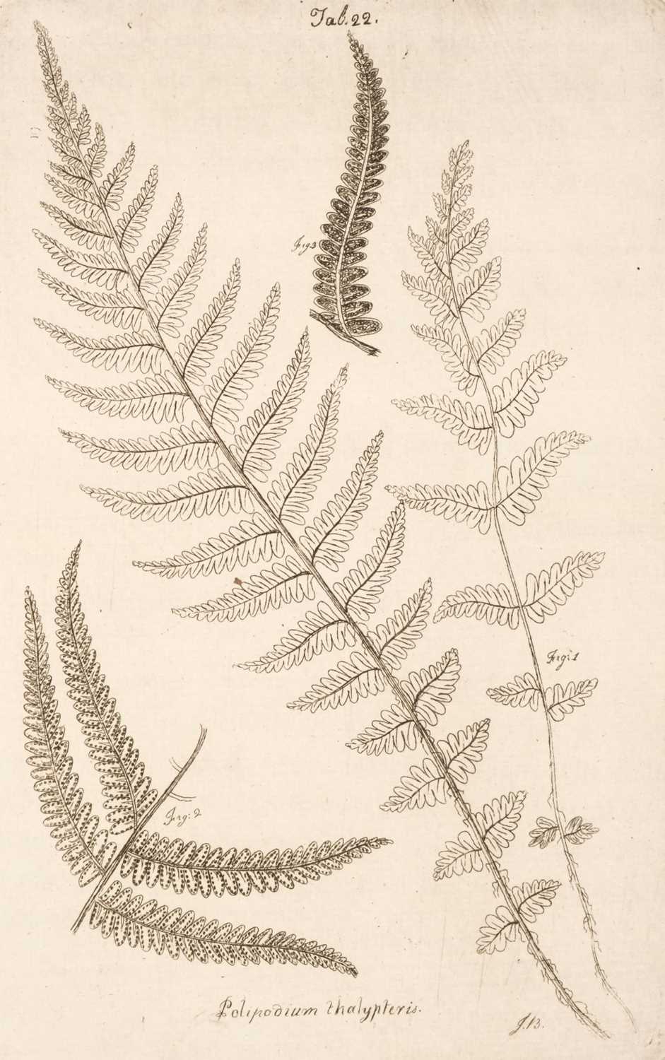 Lot 511 - Bolton (James). Filices Britannicae, 1st