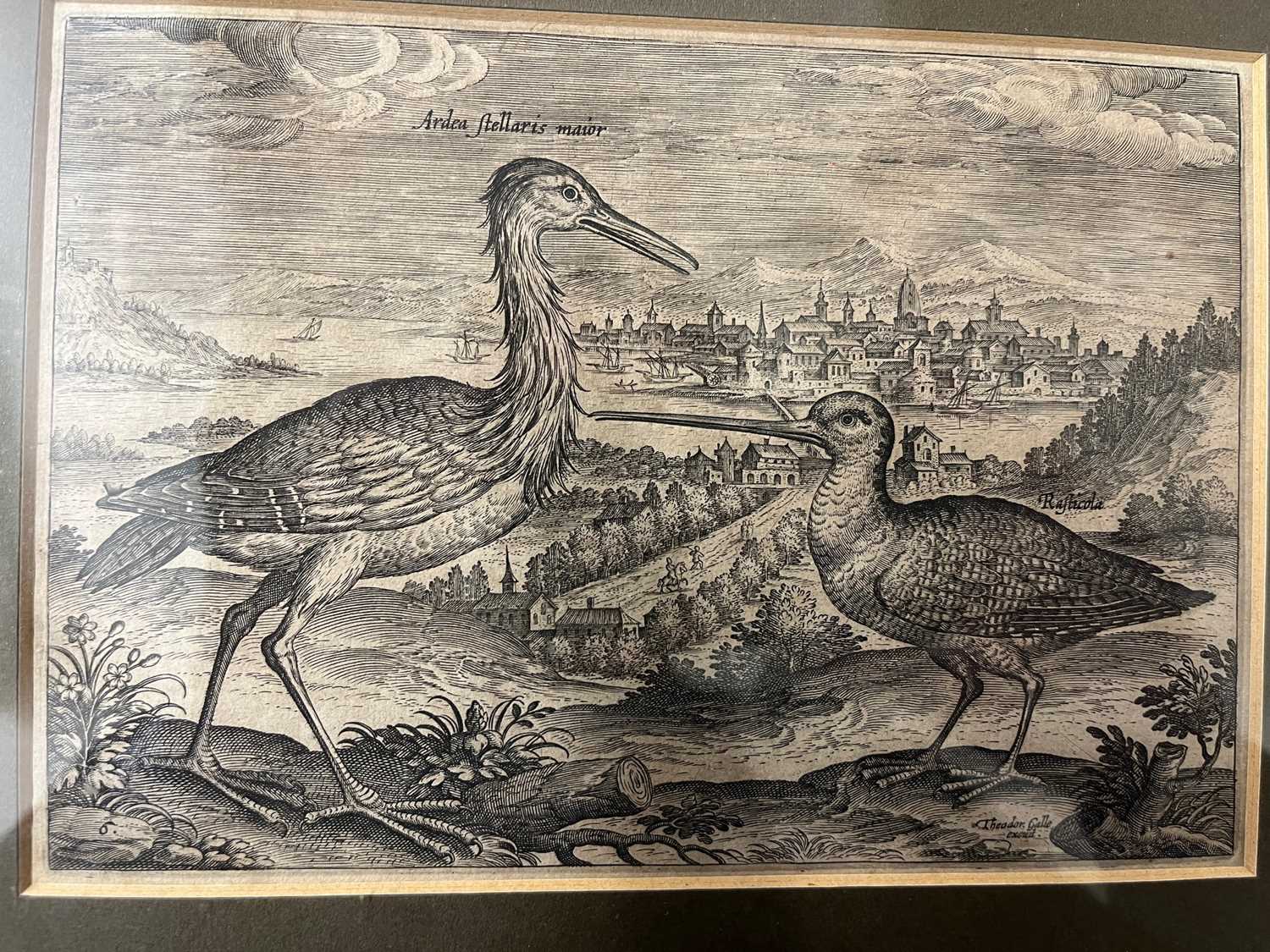 Lot 36 - Collaert (Adriaen, circa 1560-1618). Avium