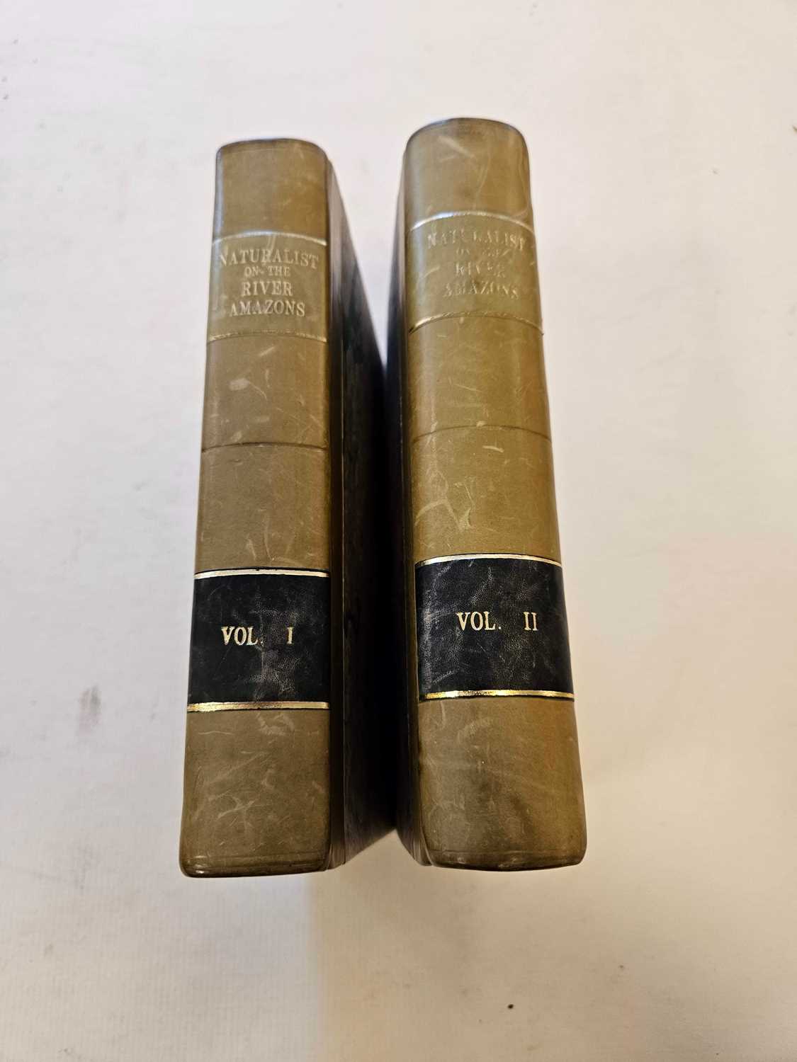 Lot 507 - Bates (Henry Walter). The Naturalist on the