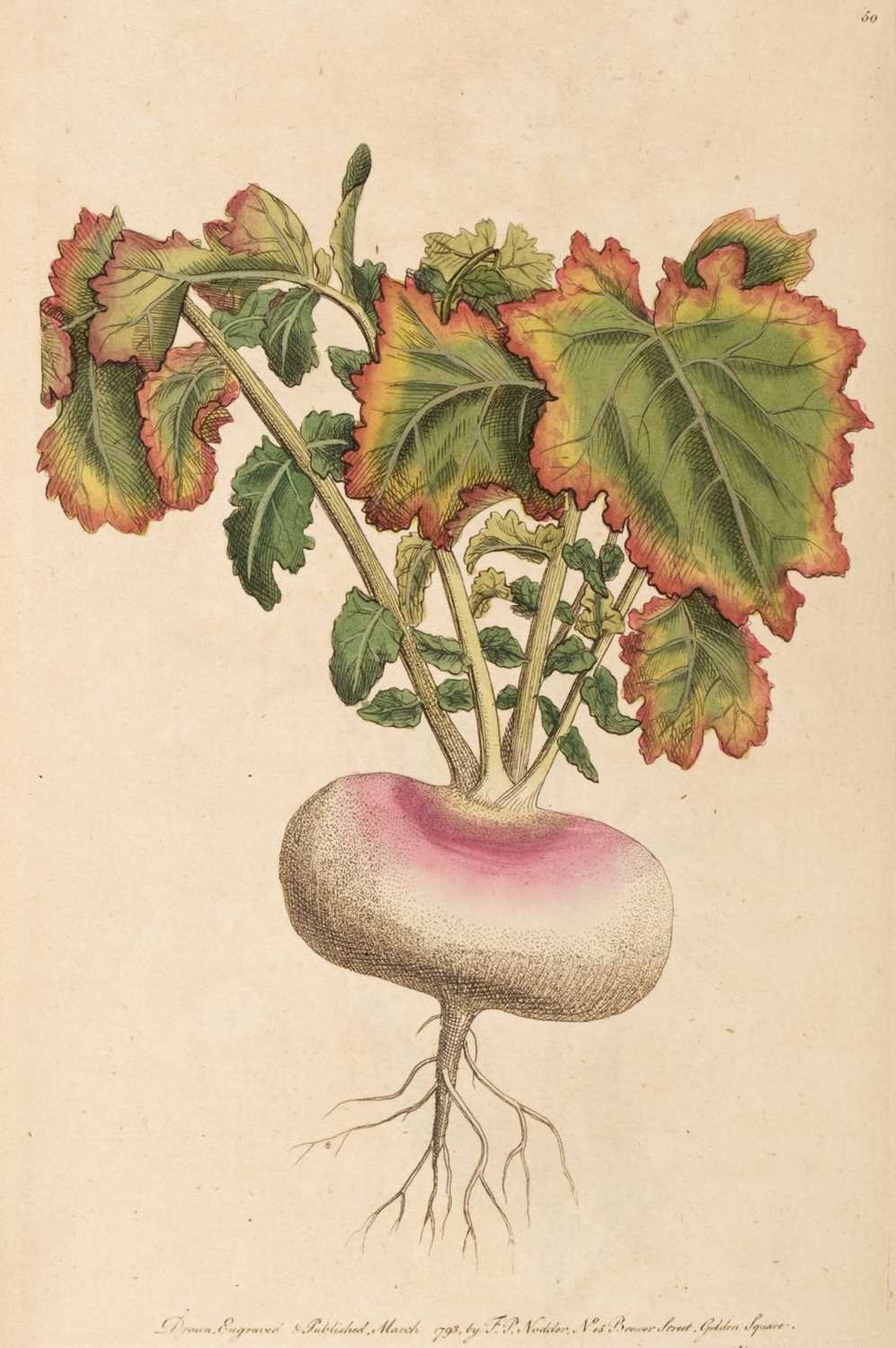 Lot 587 - Martyn (Thomas). Flora Rustica..., London: F.