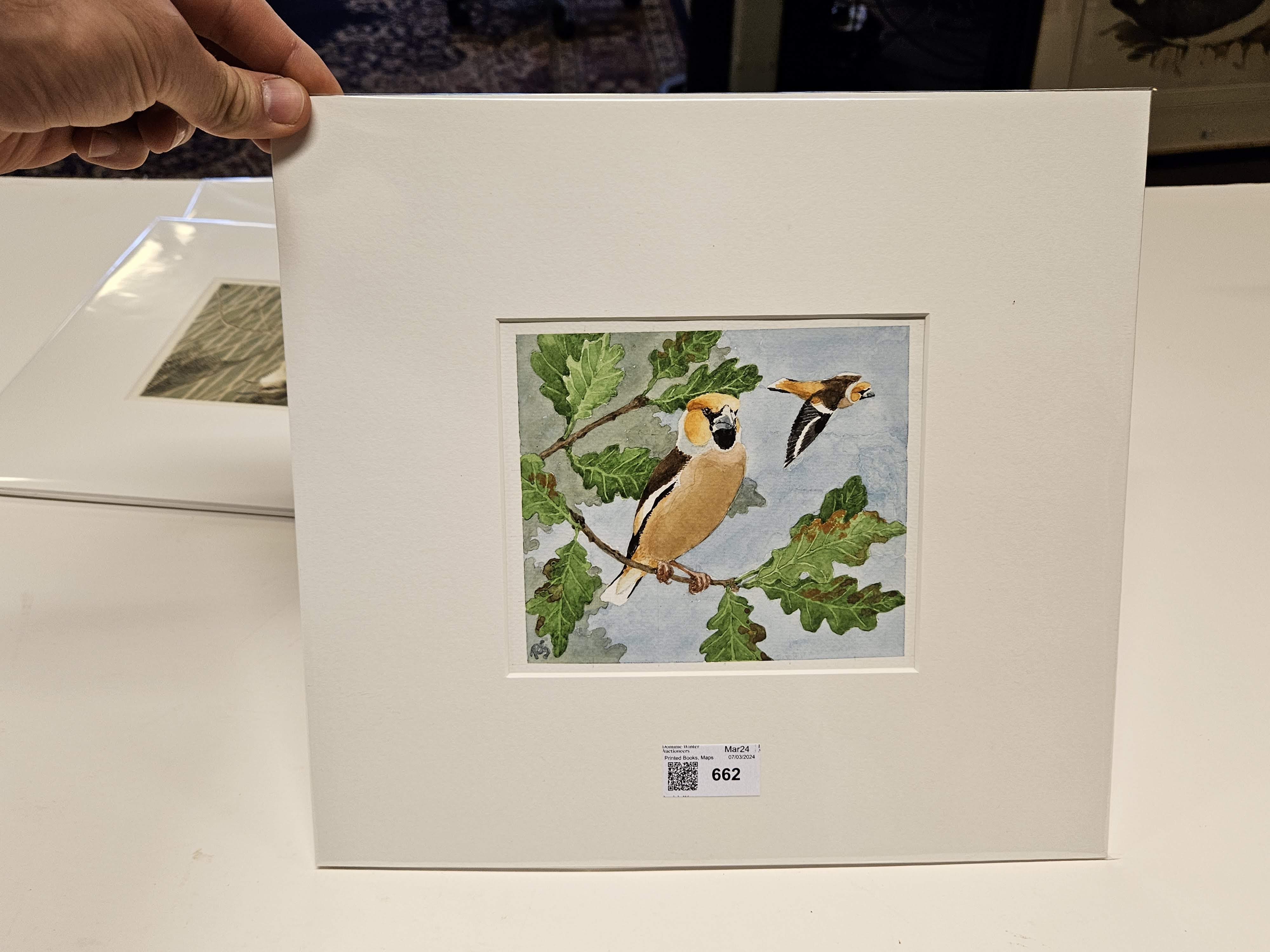 Lot 662 - Gillmor (Robert, 1936-2022). Hawfinch,