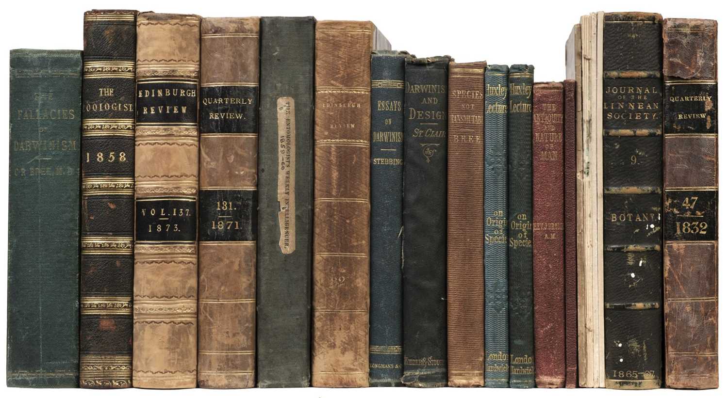 Lot 514 - Bree (Charles Robert). Species Not