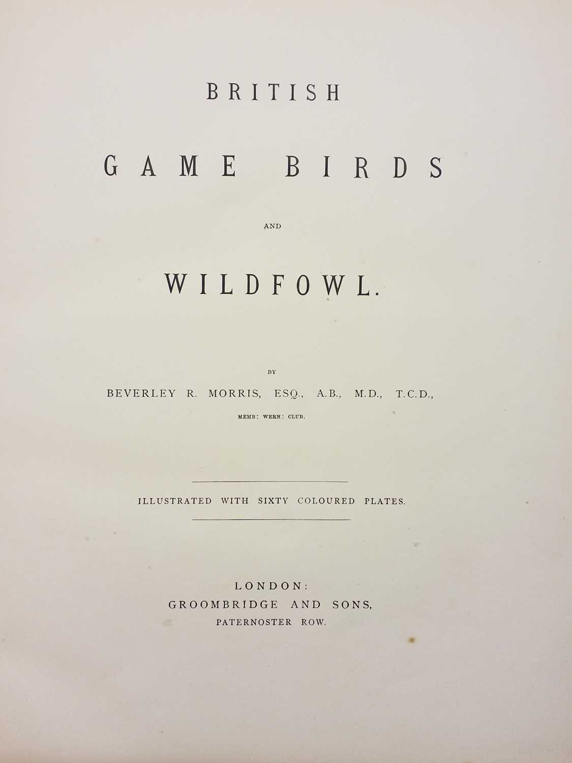 Lot 62 - Morris (Beverly Robinson). British Game Birds.