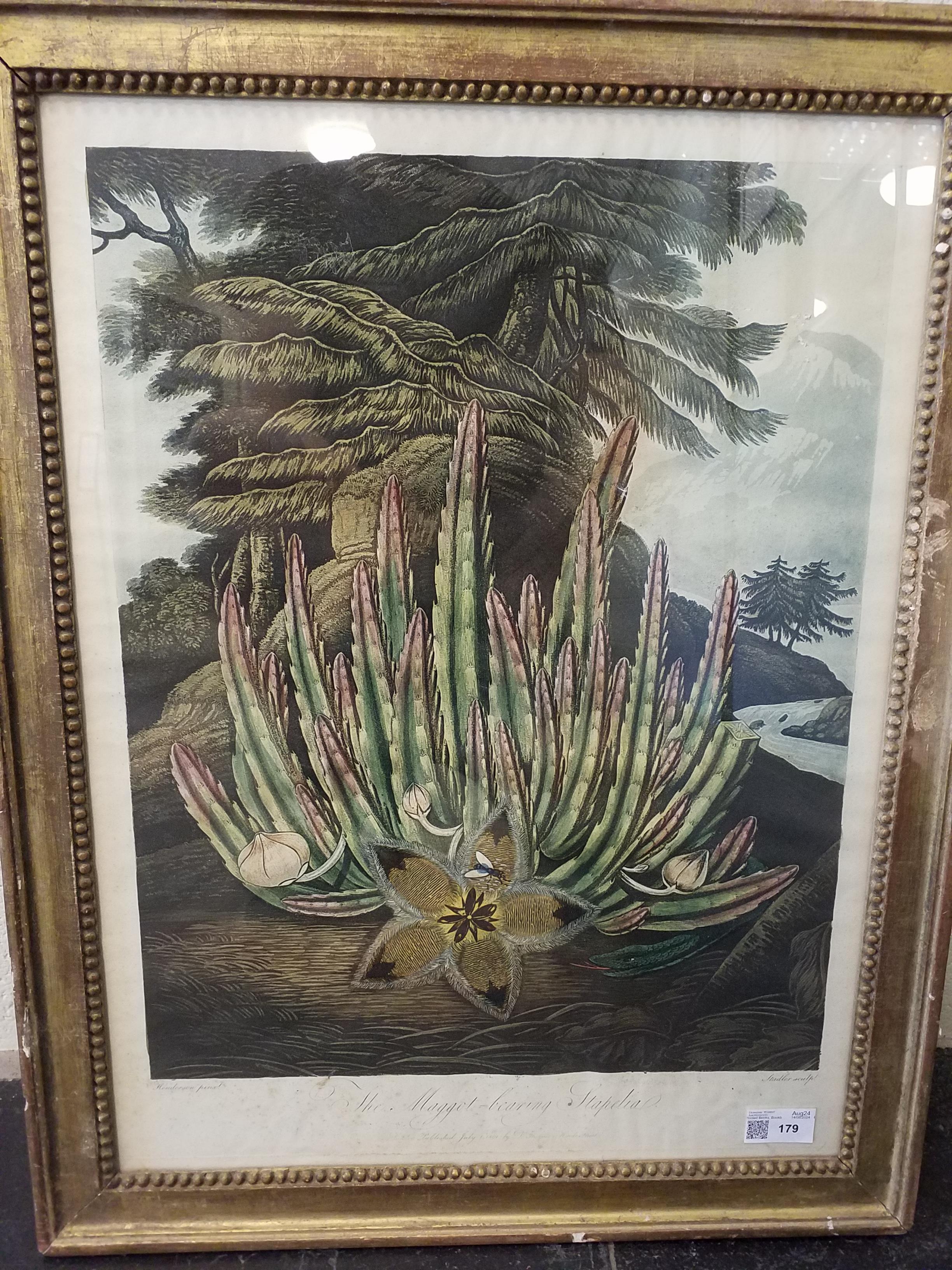 Lot 179 - Stadler (Joseph Constantine, active