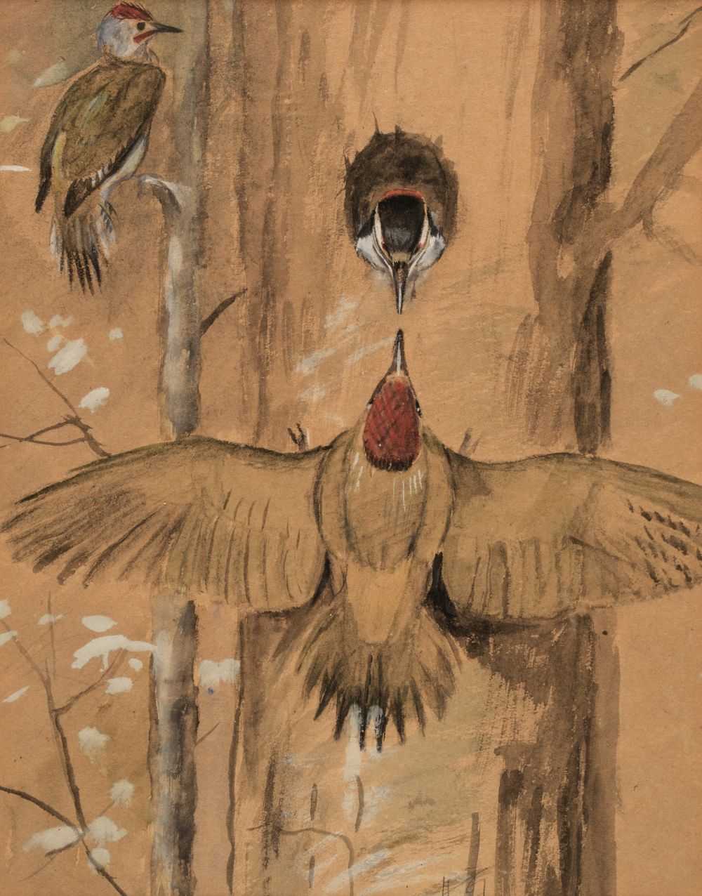 Lot 204 - Ennion (Eric, 1900-1981). Rosy Starling, pen