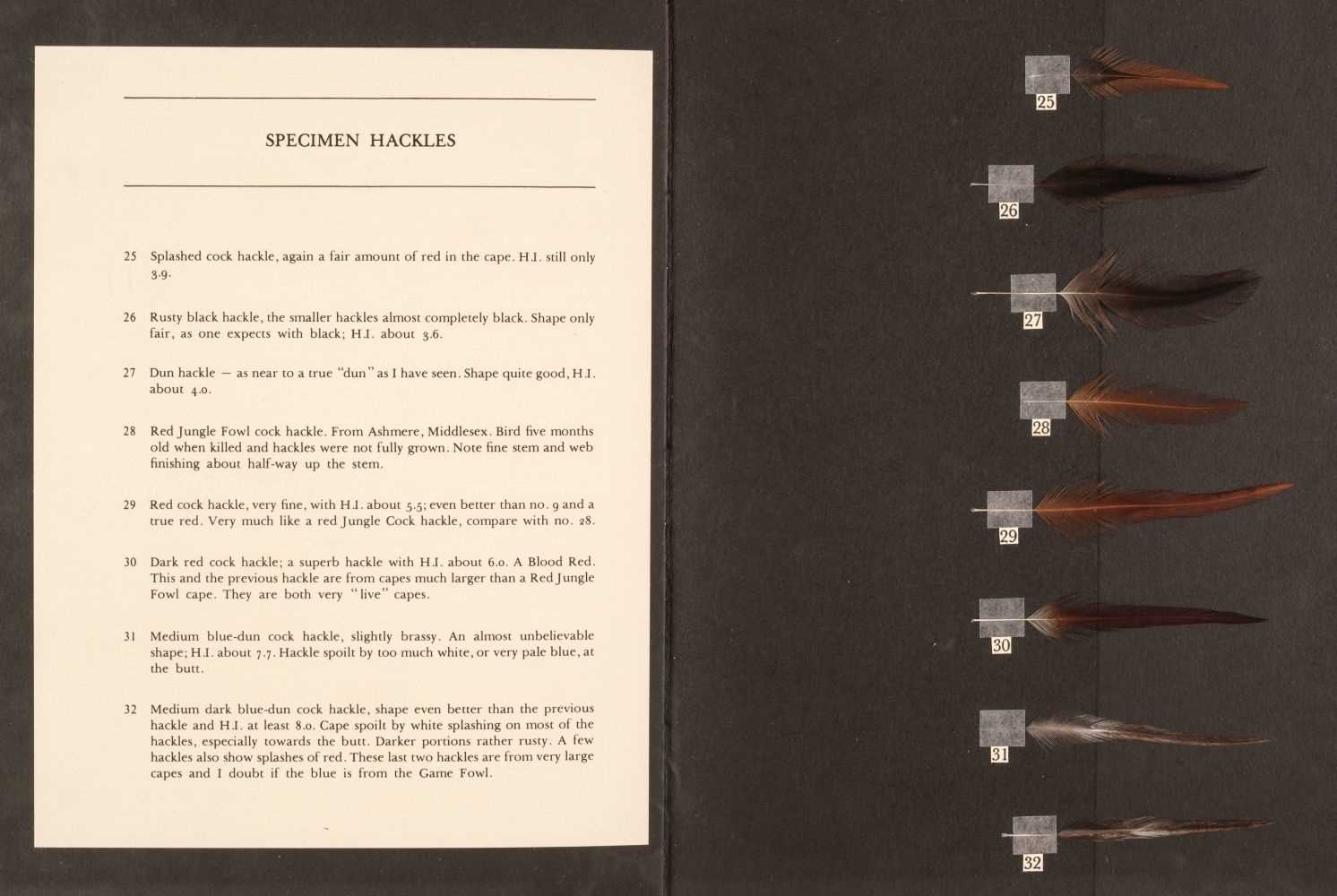 Lot 72 - Henderson (John). John Henderson's Hackle