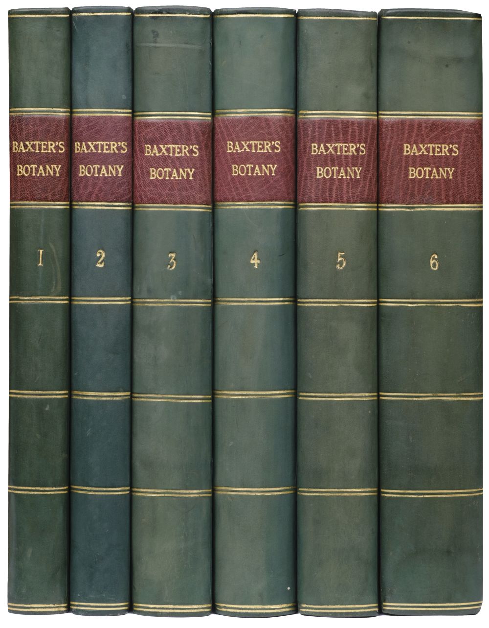 Lot 101 - Baxter (William). British Phaenogamous