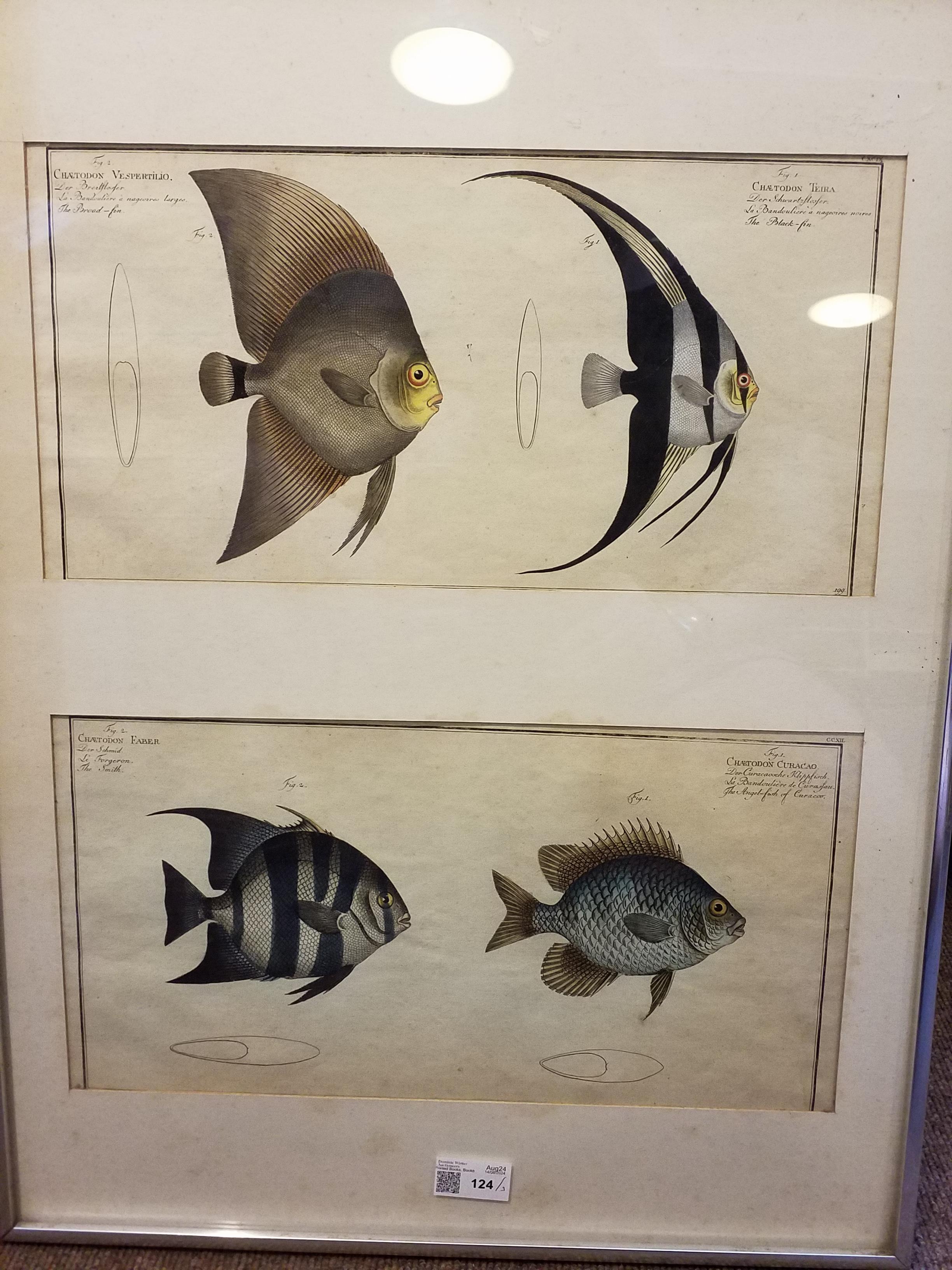 Lot 124 - Block (Marcus Elieser). 6 engravings from