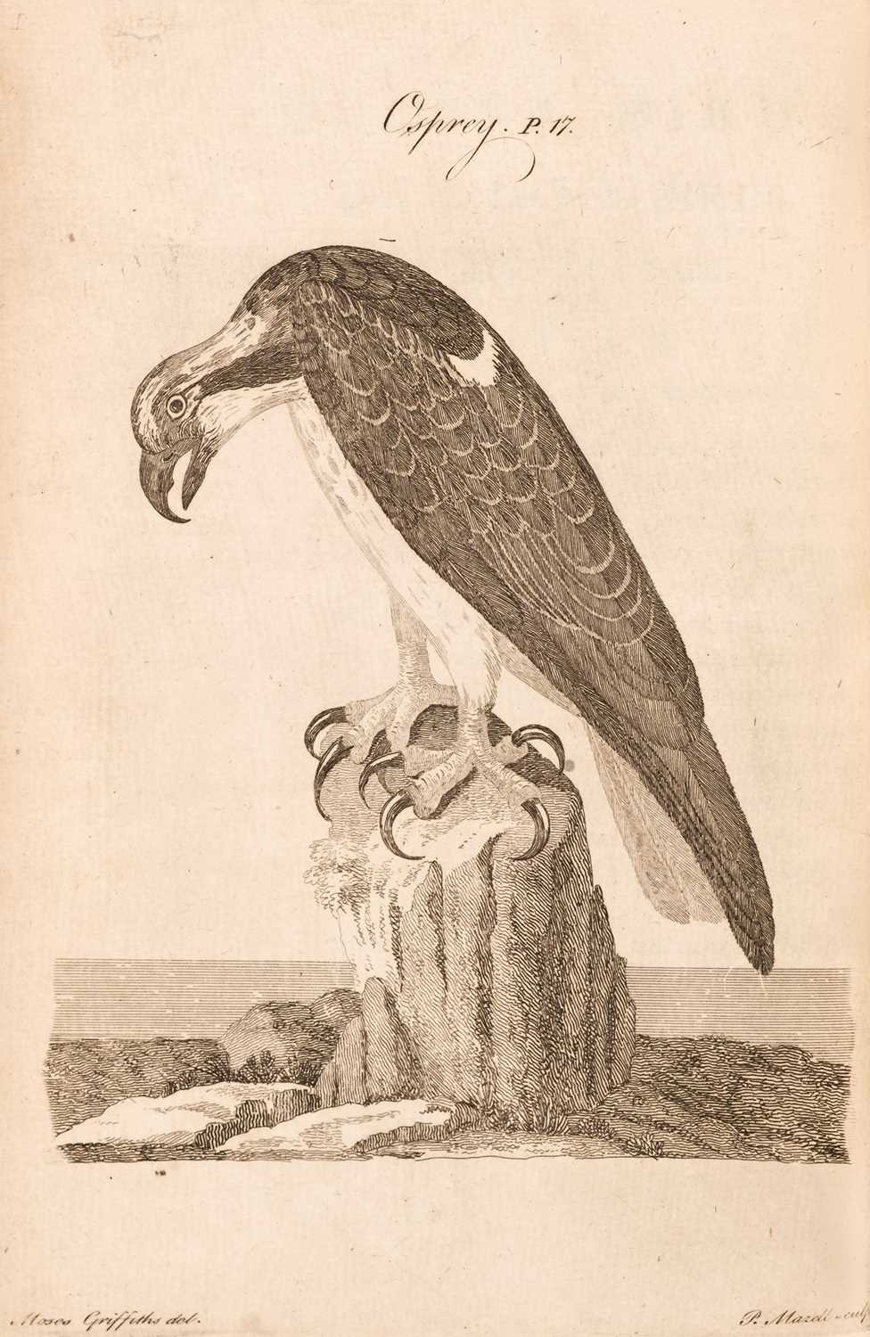 Lot 106 - Lightfoot (John). Flora Scotica, 2 volumes,