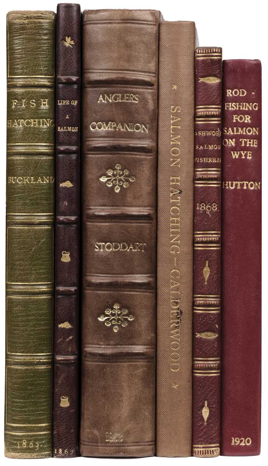 Lot 79 - Buckland (Frank T.) Fish Hatching, 1st