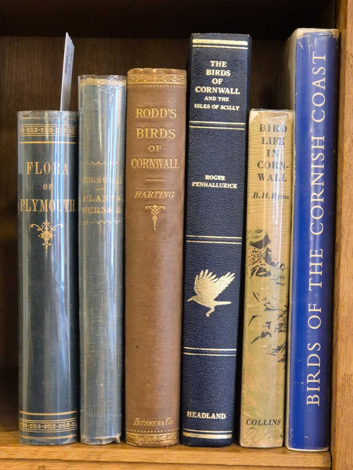 Lot 77 - Briggs (T. R. Archer). Flora of Plymouth, 1st