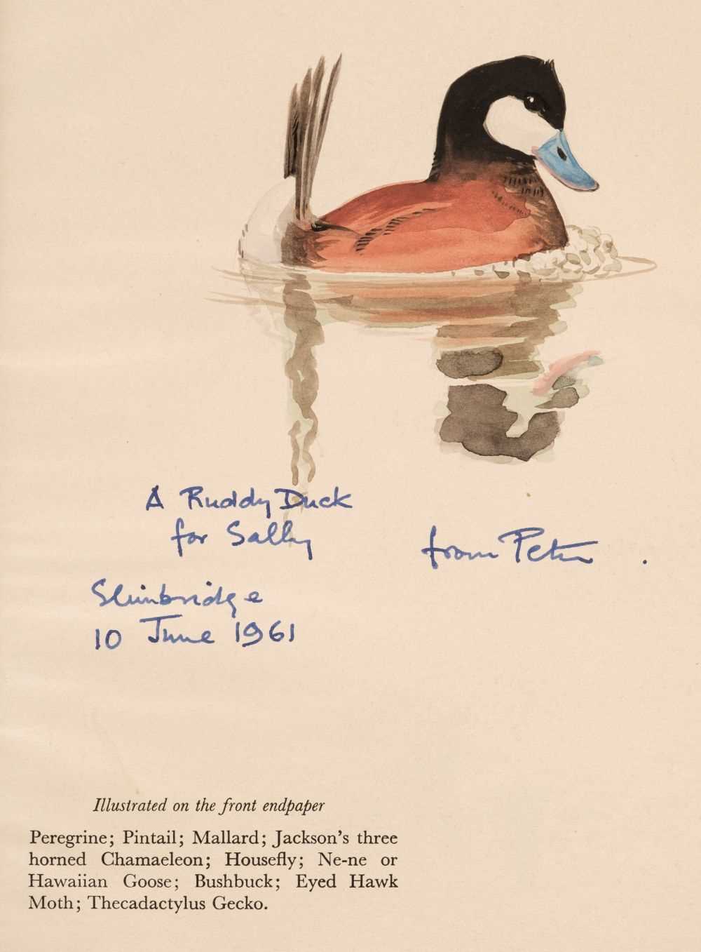Lot 204 - Scott (Peter, 1909-1989). The Eye of the