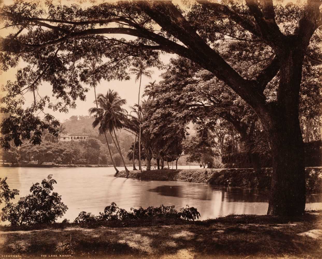 Lot 12 - Ceylon. A collection of 15 albumen print