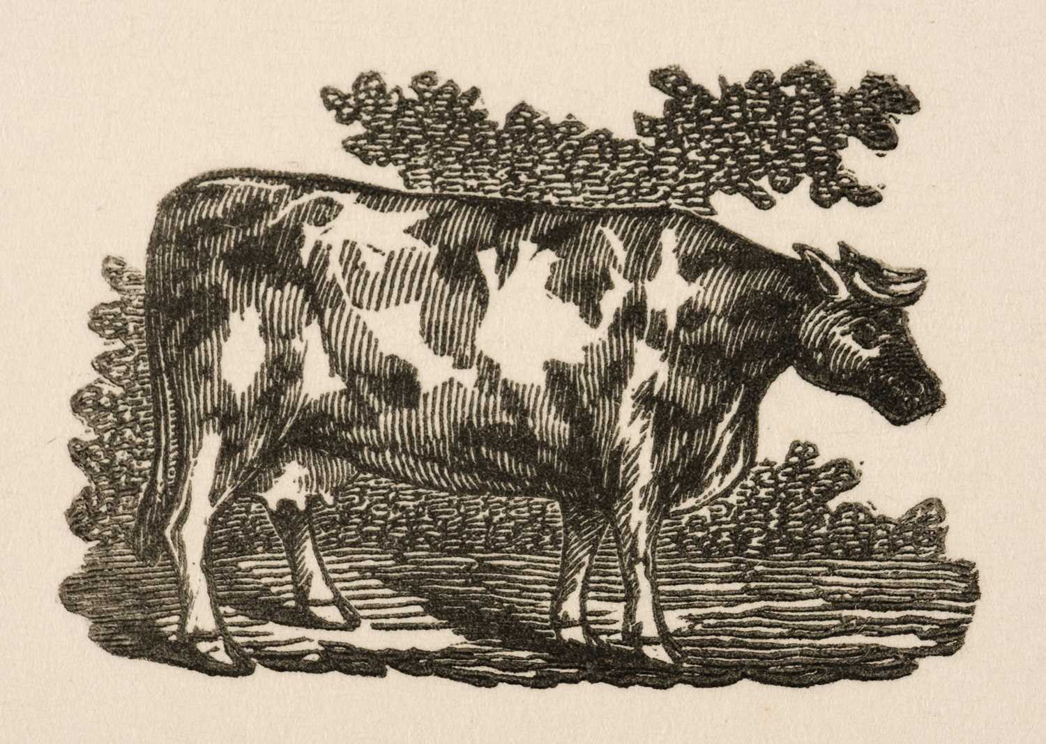 Lot 76 - Thomas Bewick (1753-1828). Elephant, Cow