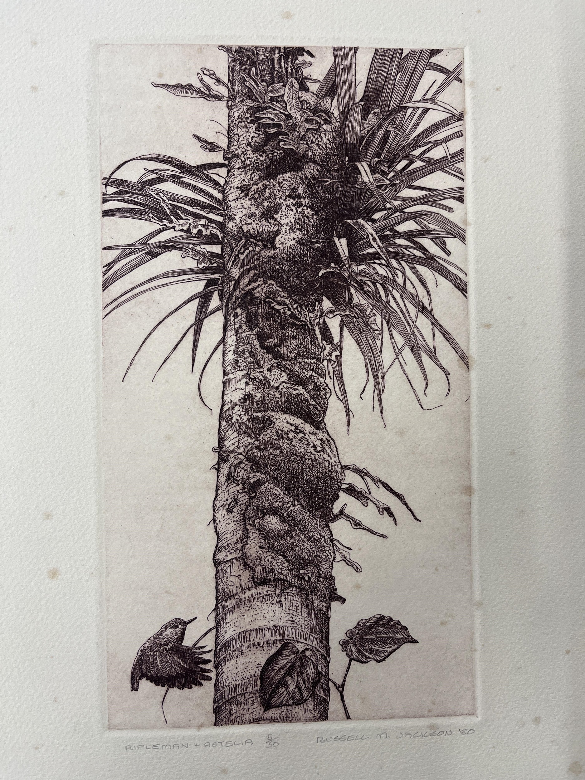 Lot 471 - Jackson (Russell, 1947-). Quail, 1980,