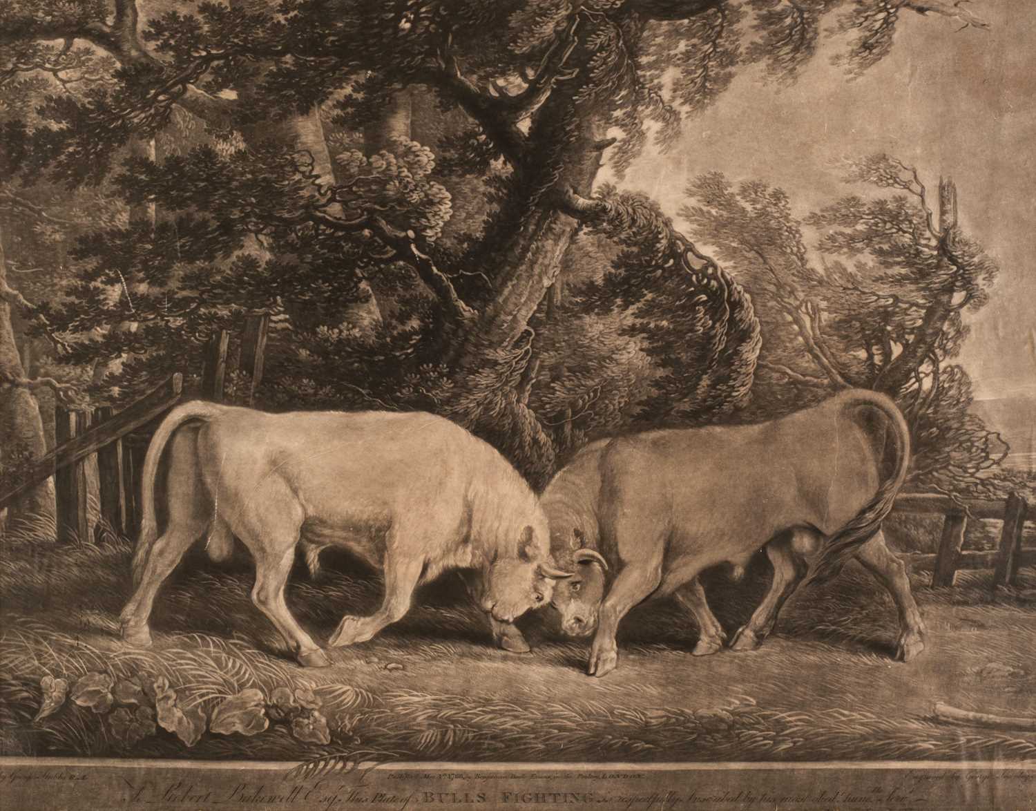 Lot 141 - Stubbs (George Townley). Bulls Fighting,