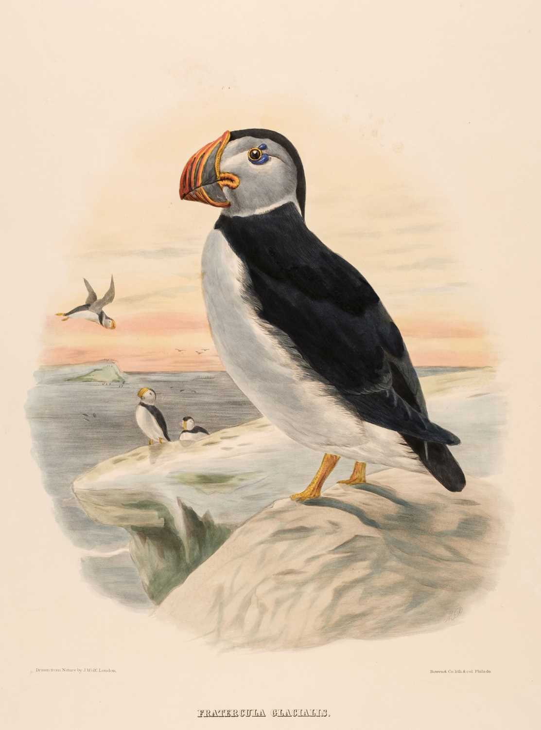 Lot 310 - Wolf (Joseph, 1820-1899). Six Lithographs of