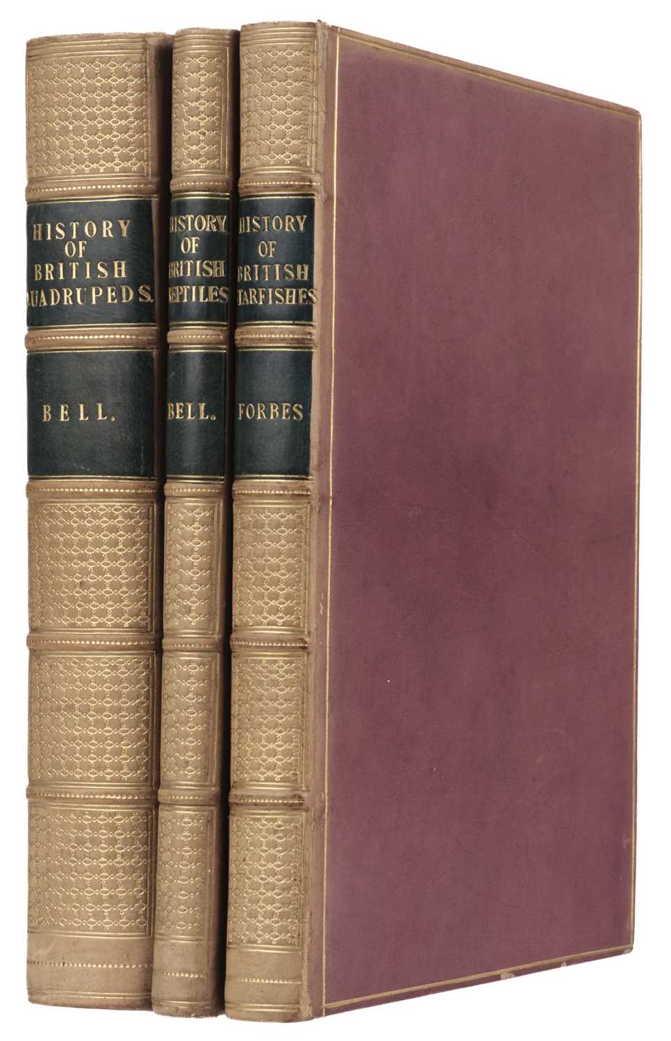 Lot 57 - Bell (Thomas). A History of British