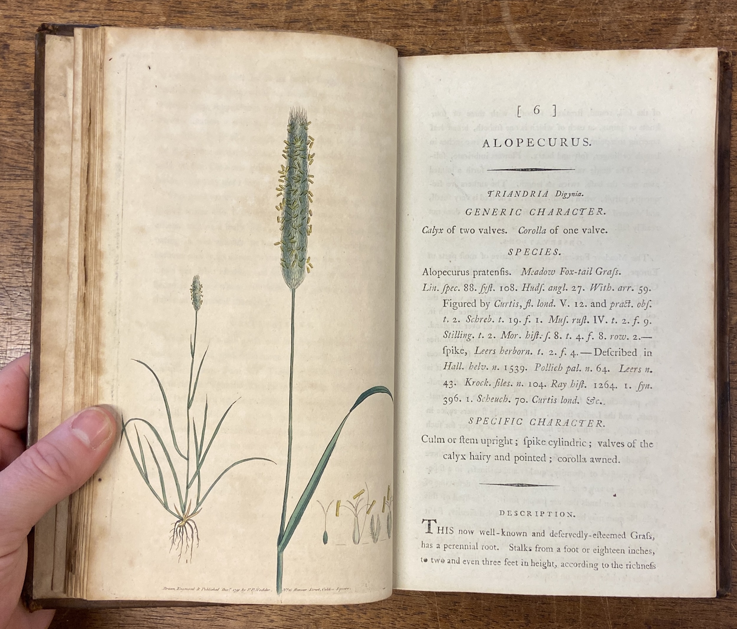 Lot 97 - Martyn (Thomas). Flora Rustica, 4 volumes,