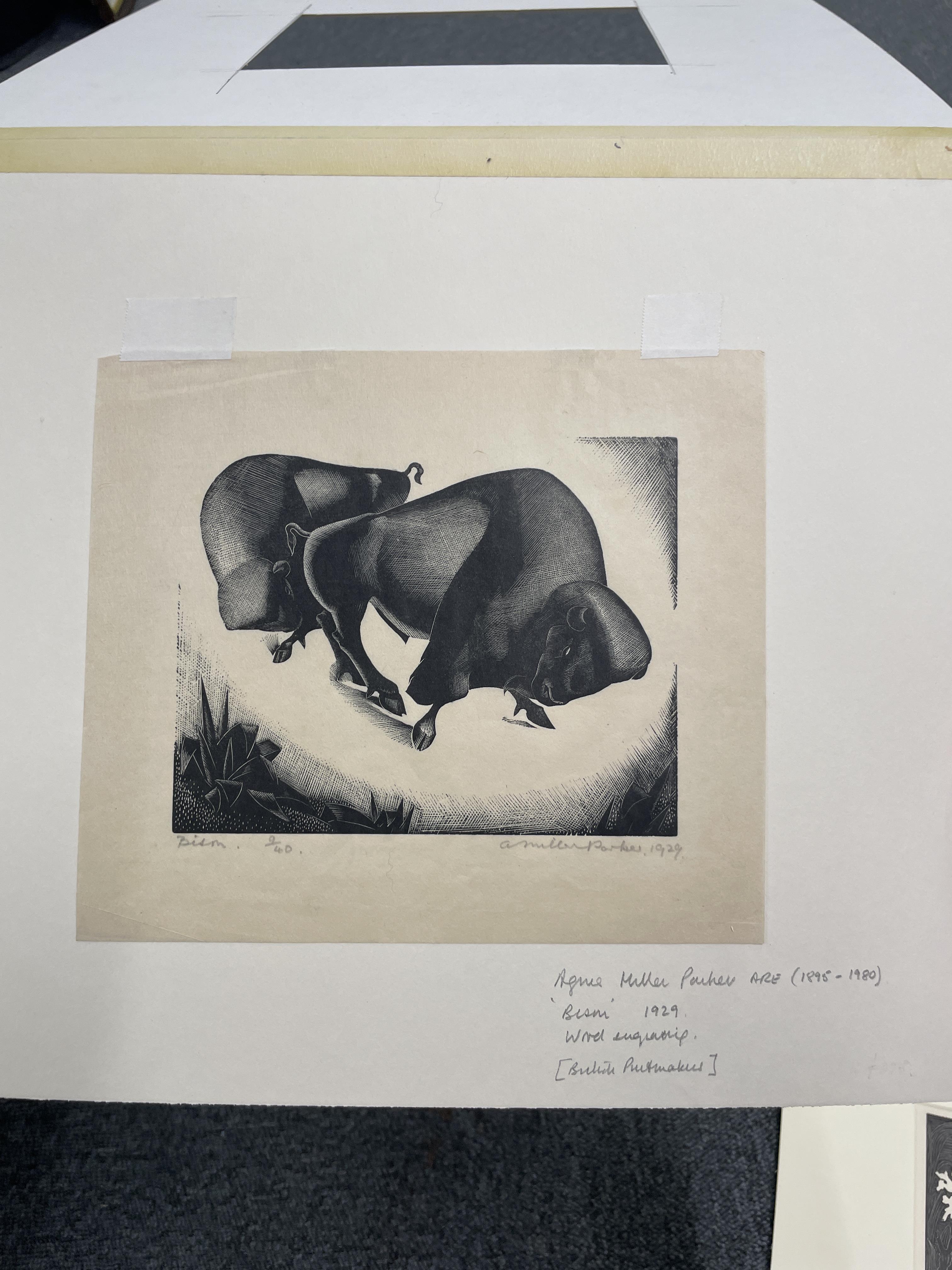 Lot 386 - Parker (Agnes Miller, 1895-1980). Bison,