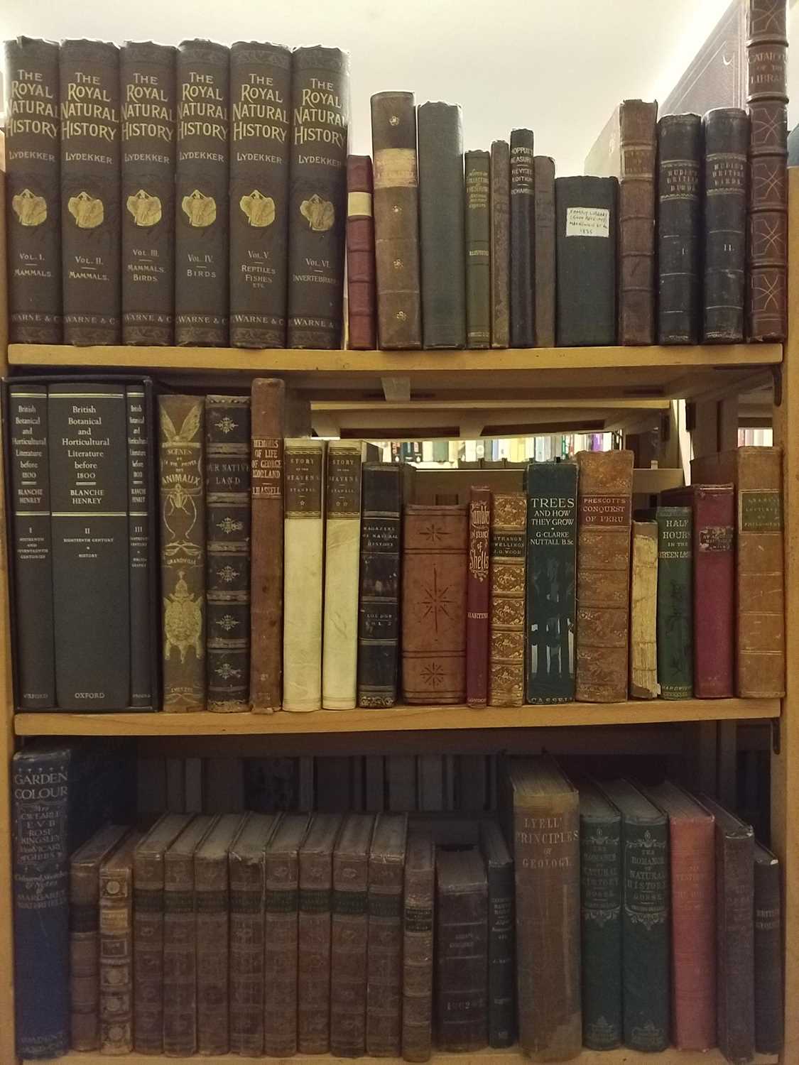 Lot 361 - Natural History. A collection of 18th to
