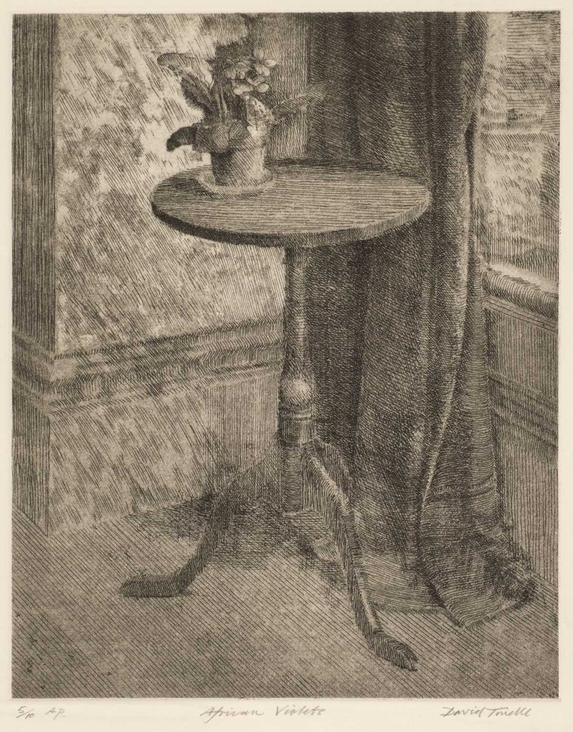 Lot 502 - Tindle (David, 1932-). African Violets,