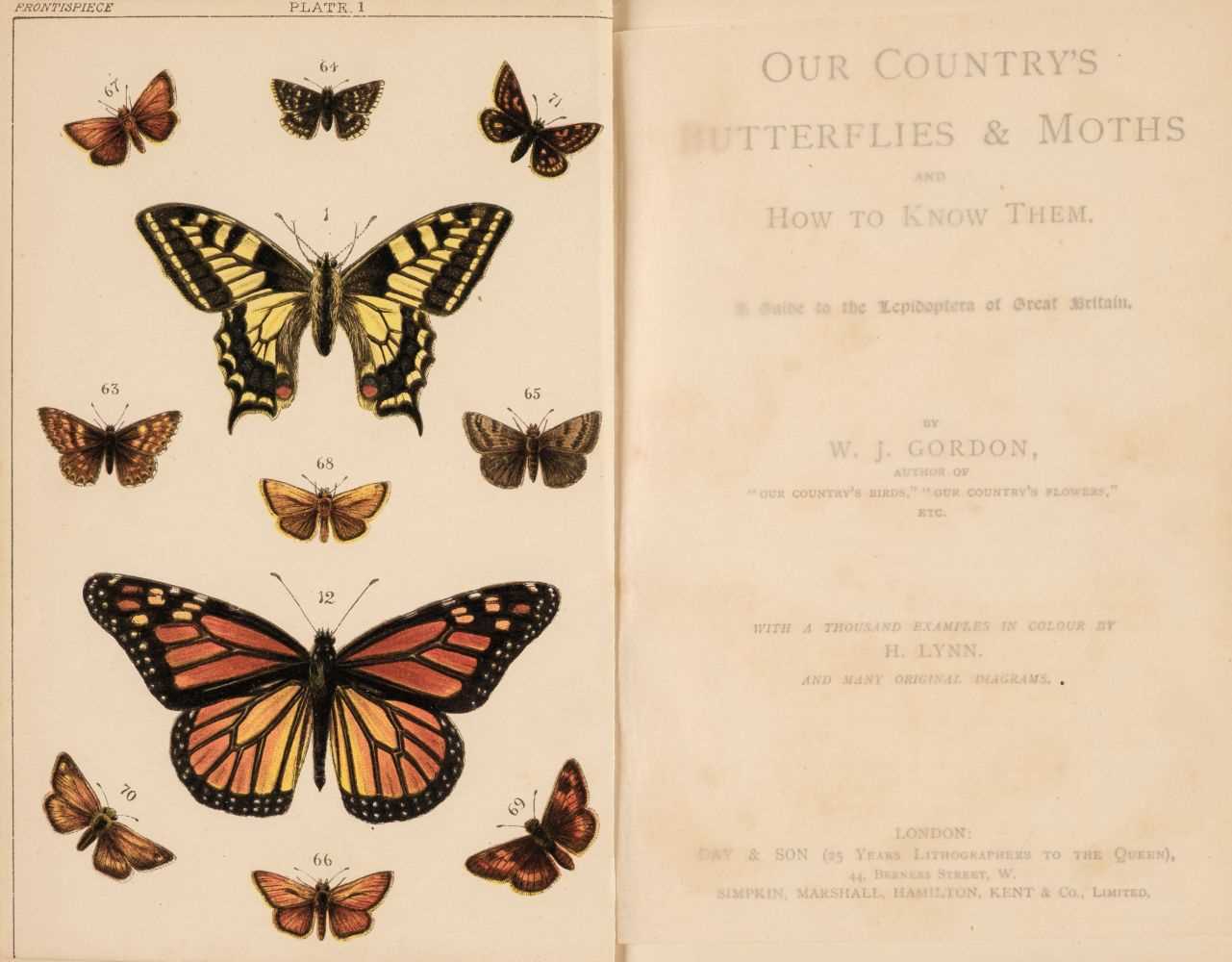 Lot 52 - Entomology and Lepidopterology. Gordon (W.