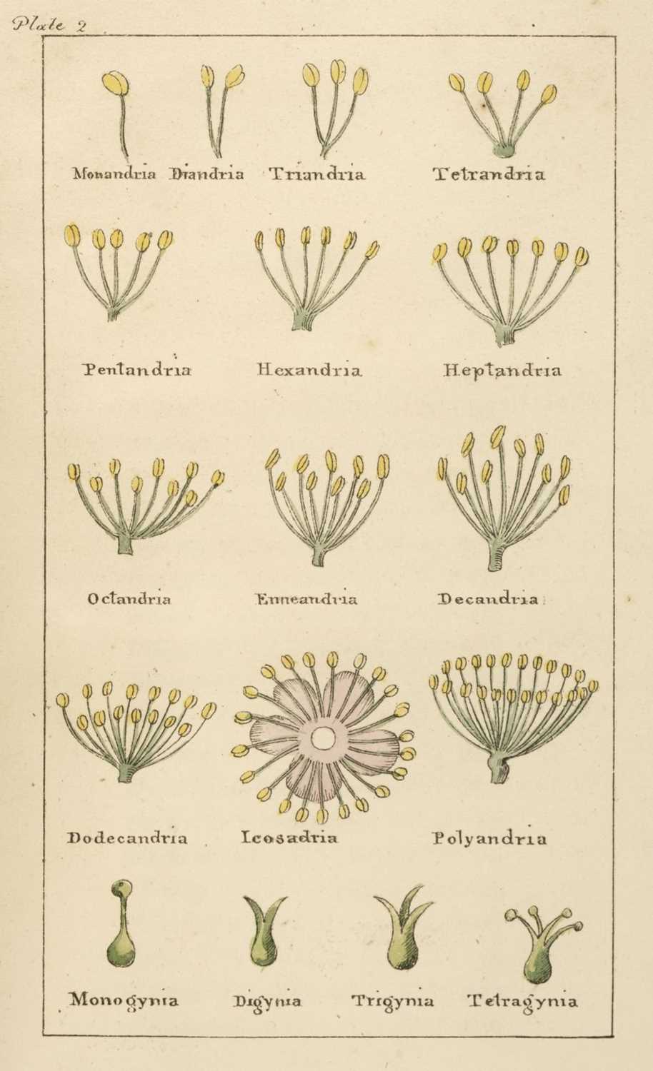 Lot 60 - Phillips (Henry). Pomarium Britannicum, 1st