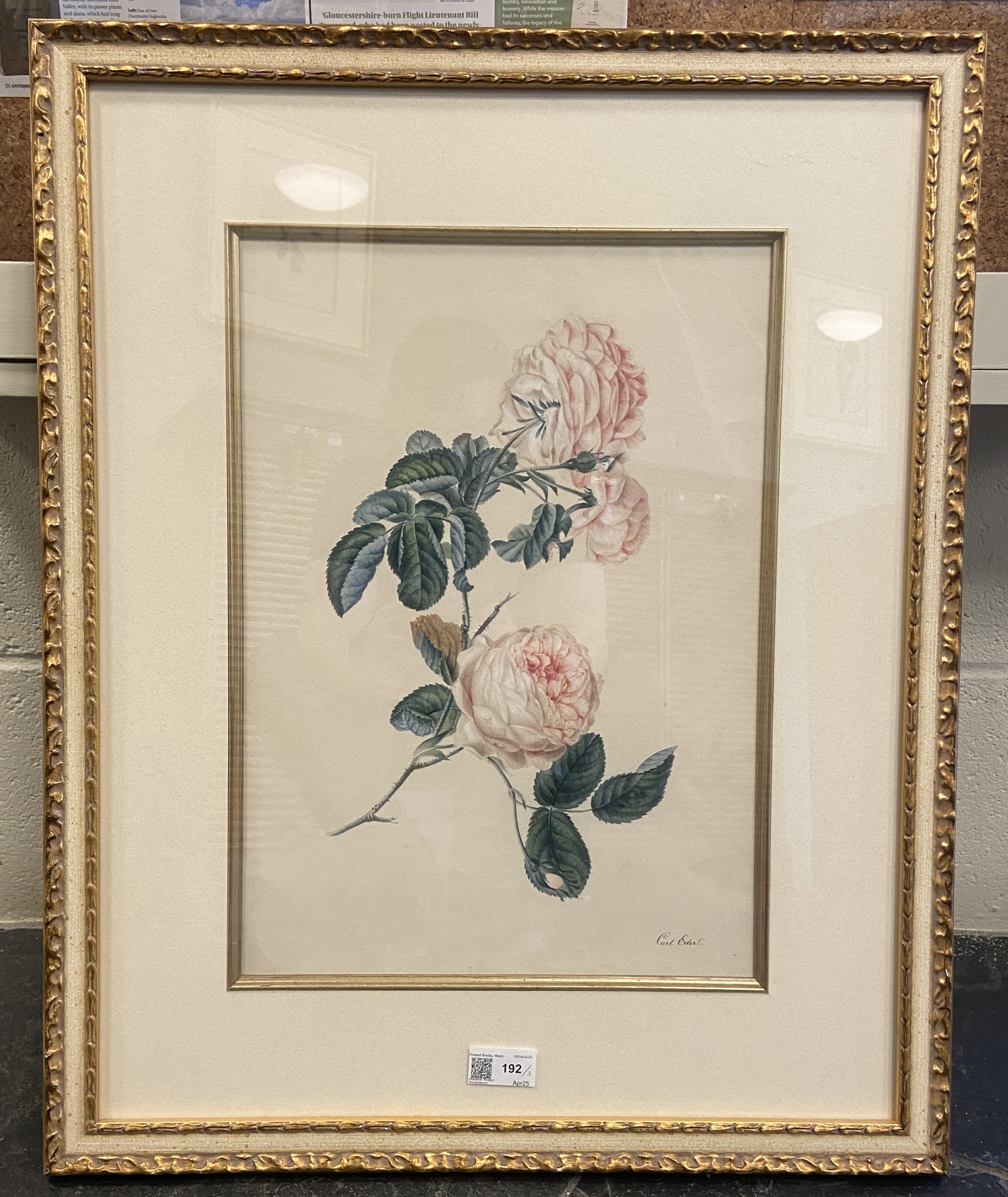 Lot 251 - Eder (Carl). Three Watercolours of Flowers,