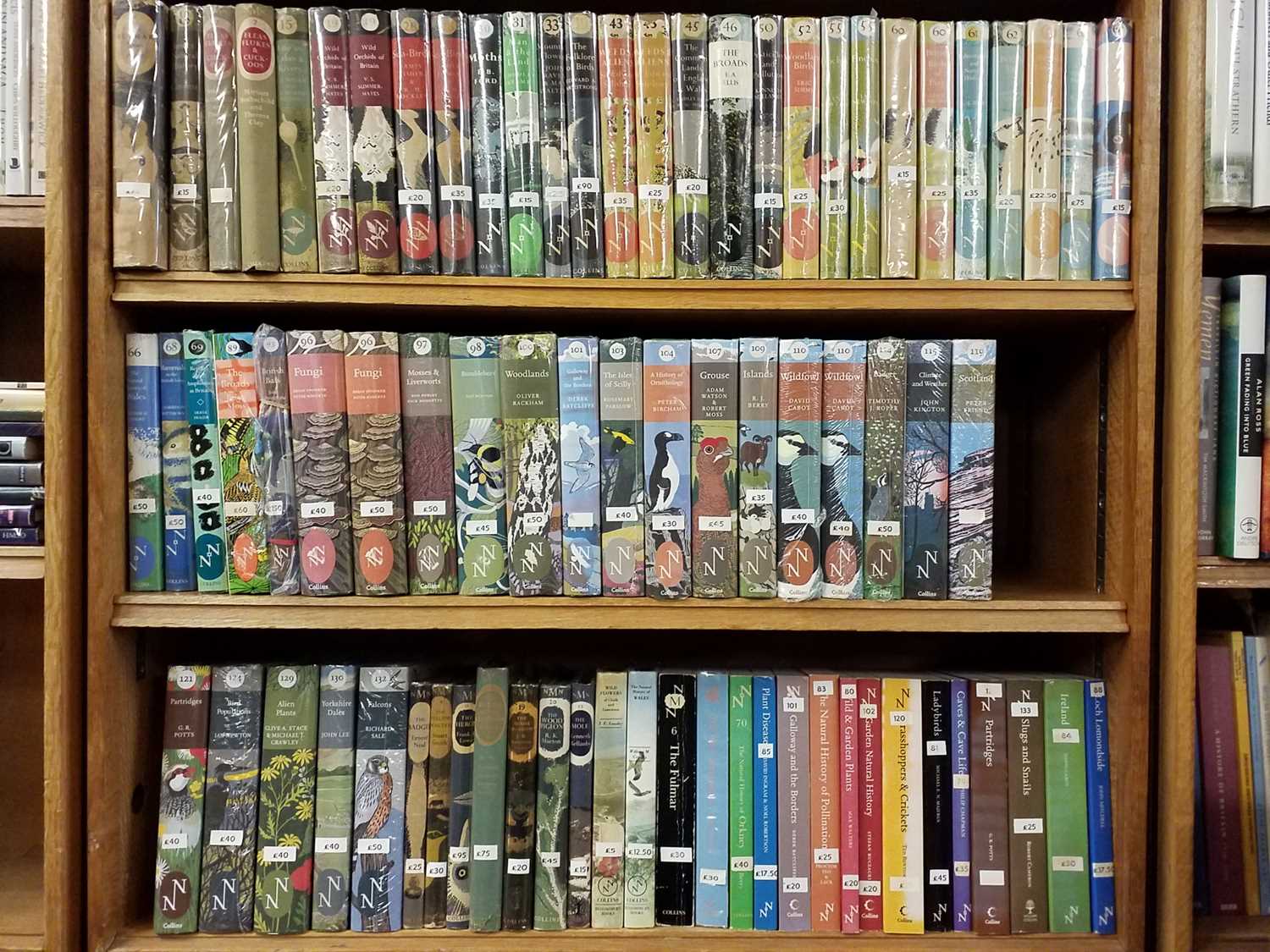 Lot 446 - New Naturalists. A collection of New