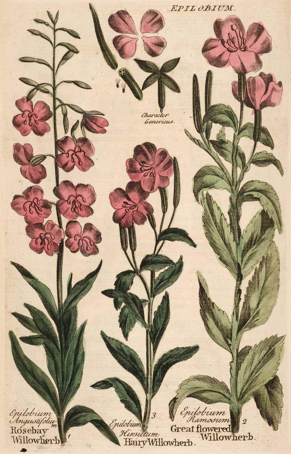 Lot 122 - Culpeper (Nicholas). Culpeper's English