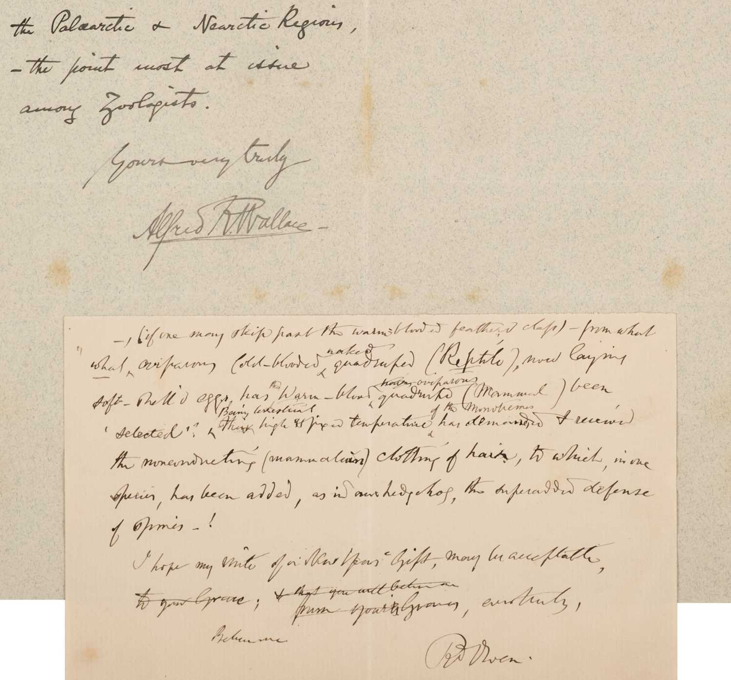 Lot 319 - Wallace (Alfred Russel, 1823-1913).