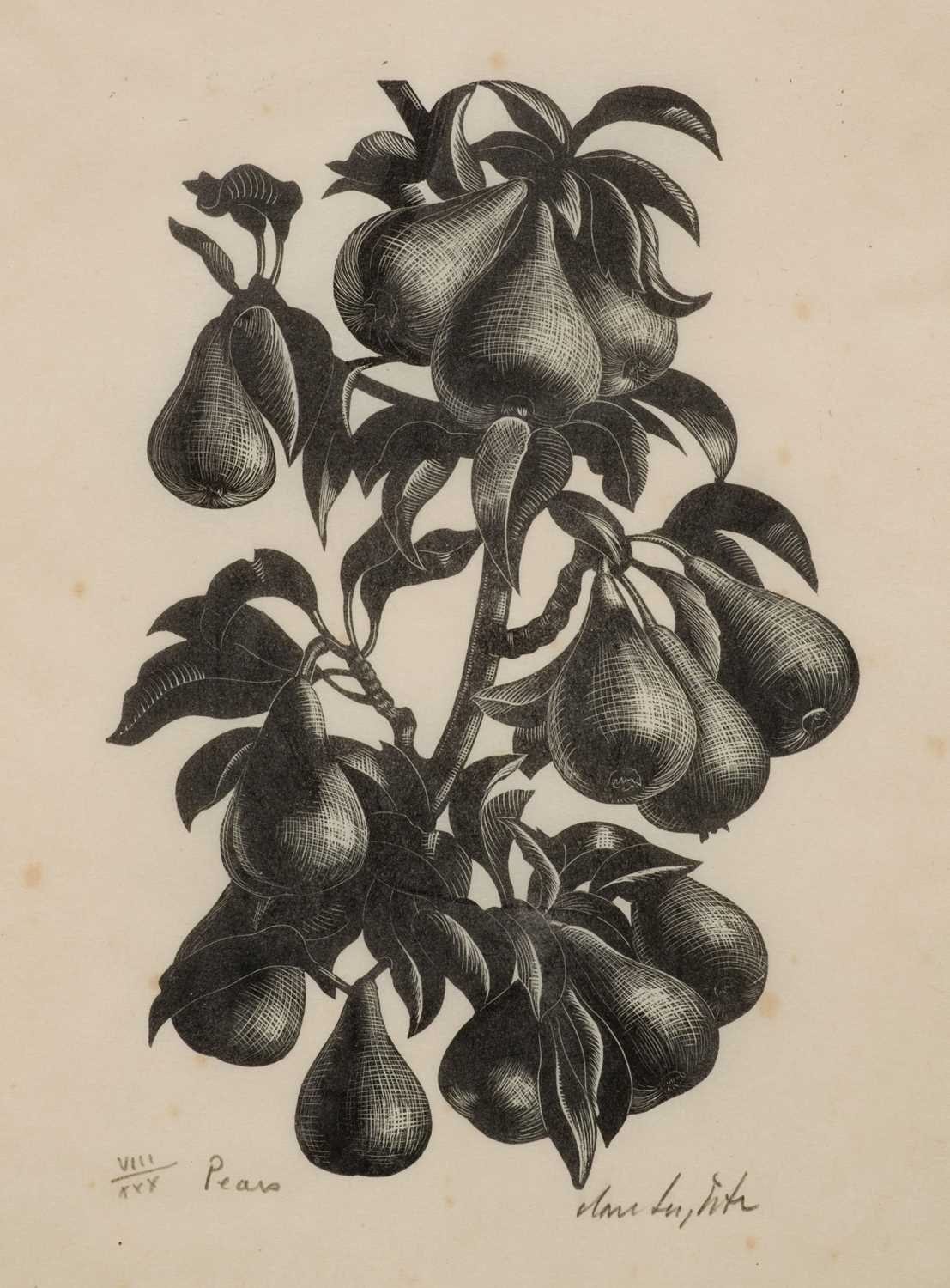 Lot 245 - Leighton (Clare, 1899-1989). Pears, circa