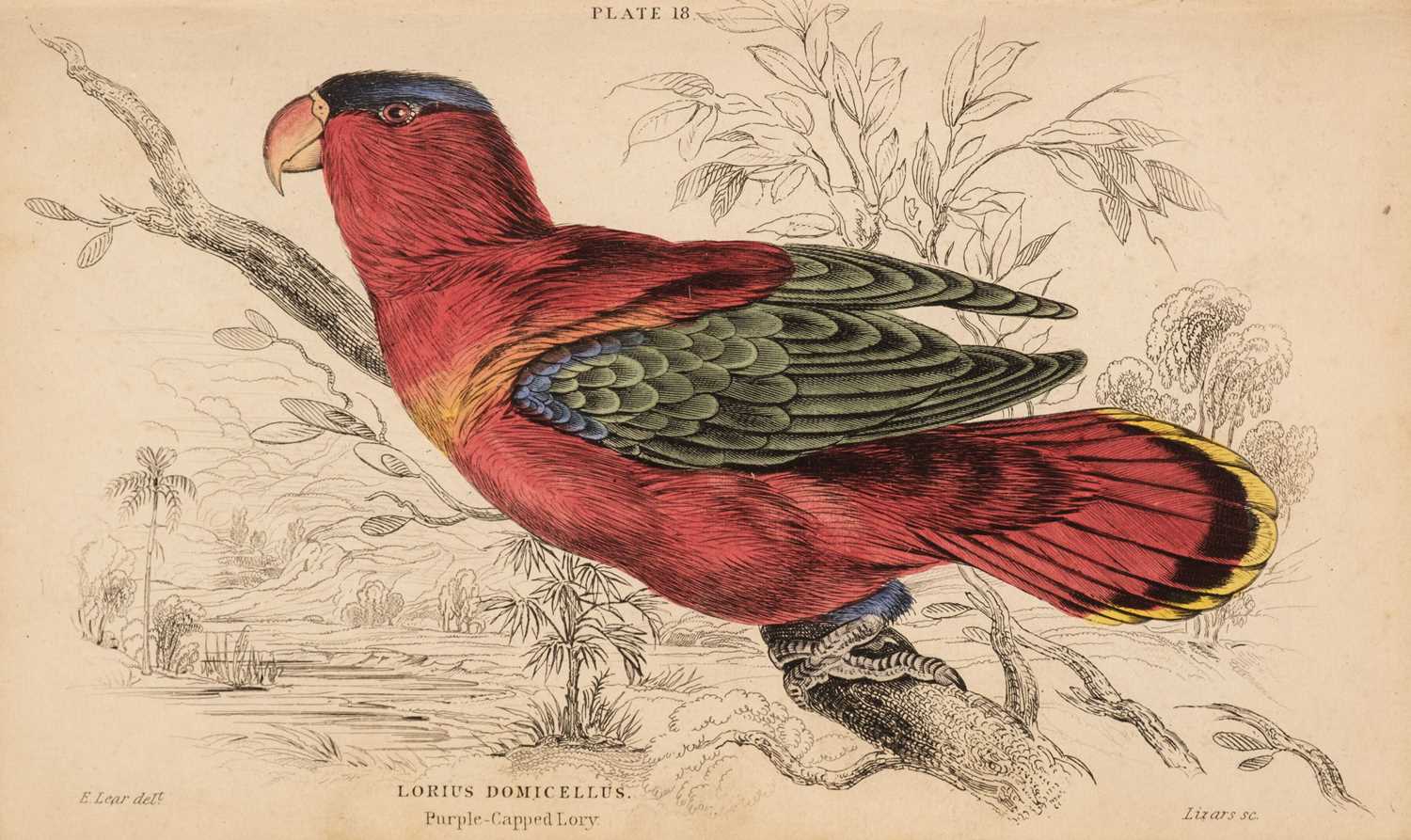 Lot 99 - Selby (P. J.). The Naturalist's Library,