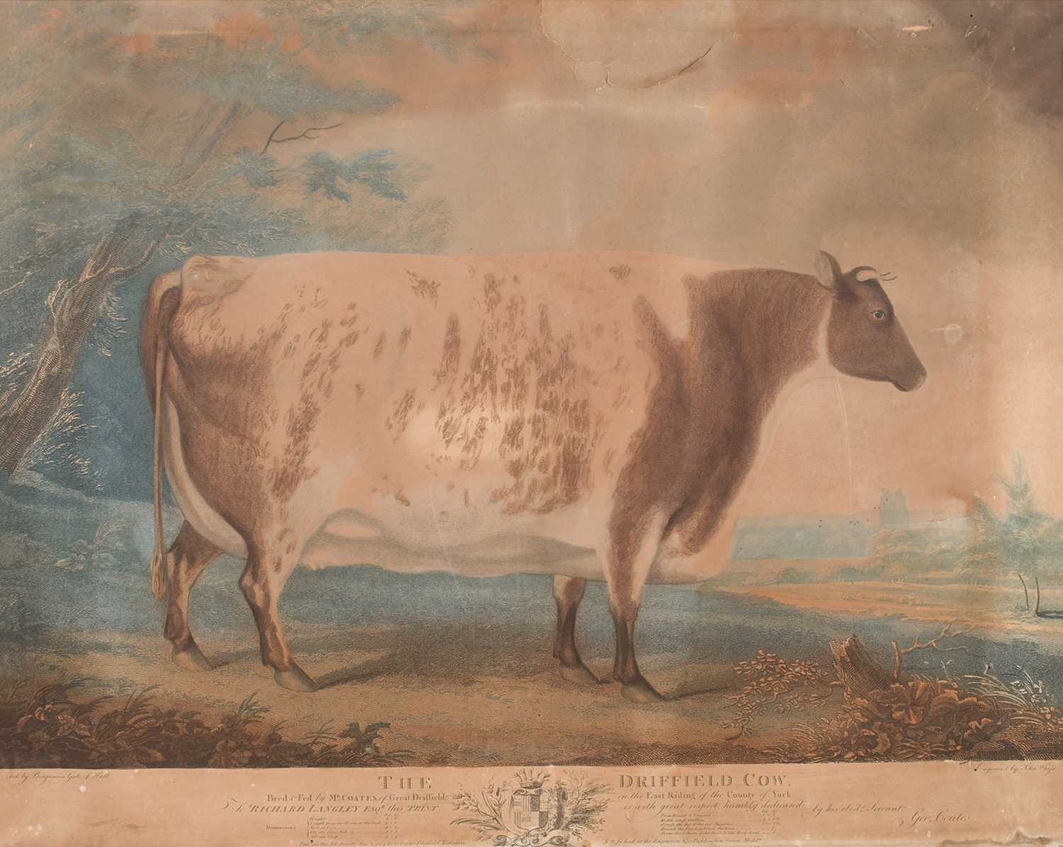 Lot 256 - Whessell (John). The Driffield Cow, 1804
