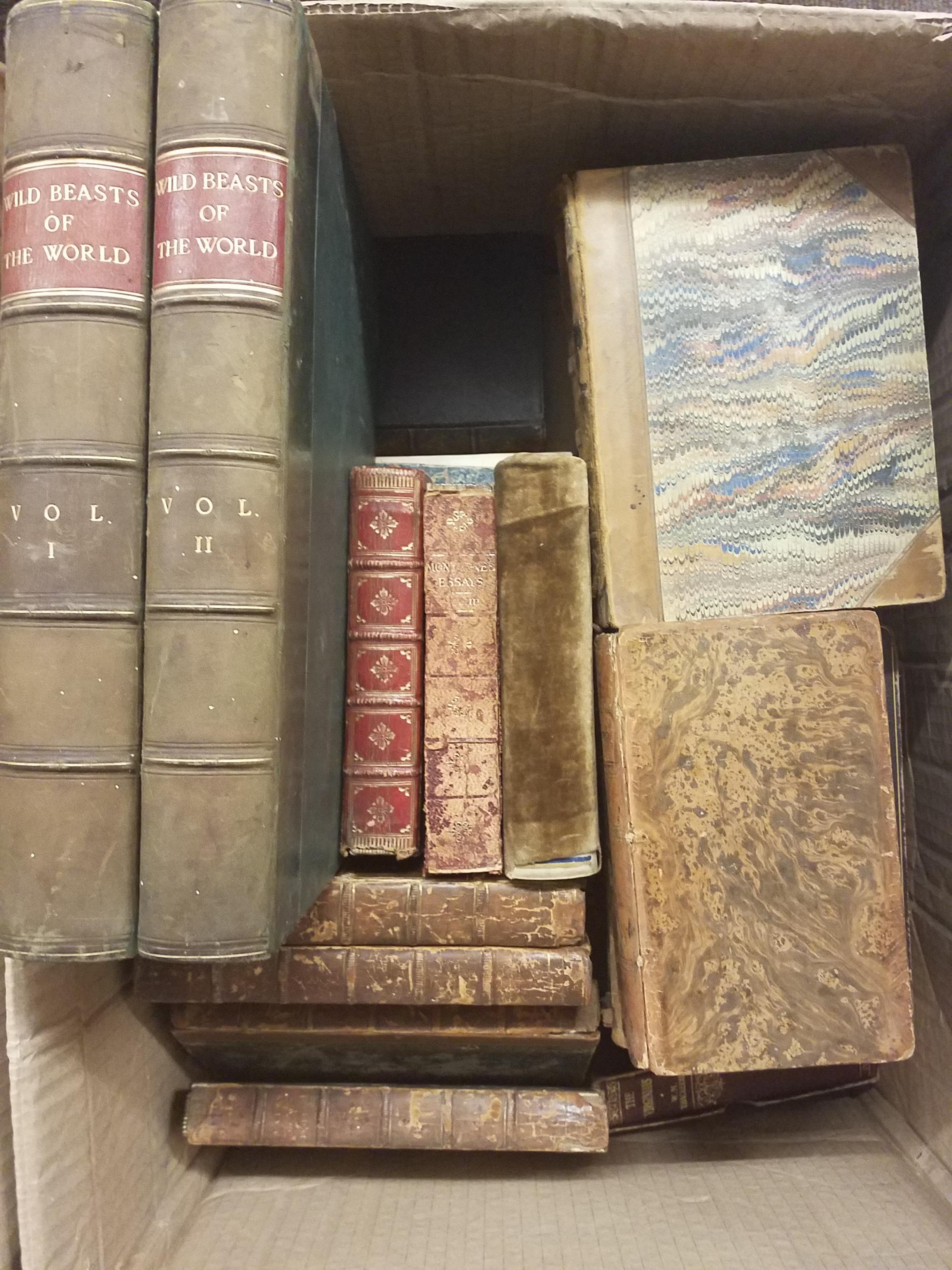 Lot 391 - Miscellaneous Antiquarian. A collection of