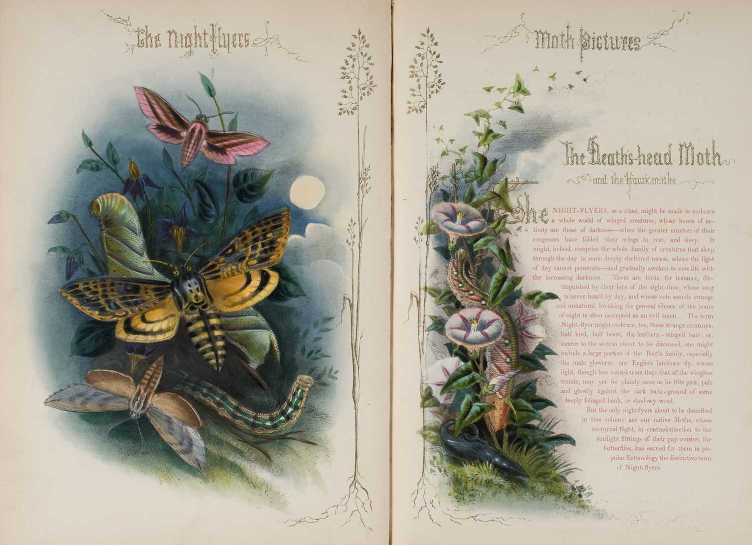 Lot 102 - Jerrard (Paul & Son, publishers). The