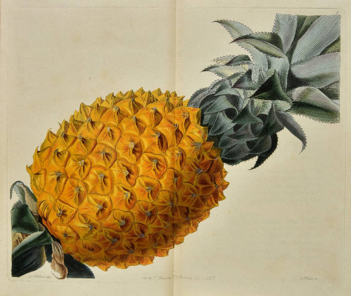 Lot 81 - Lindley, John