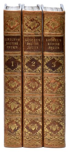 Lot 81 - Lindley, John