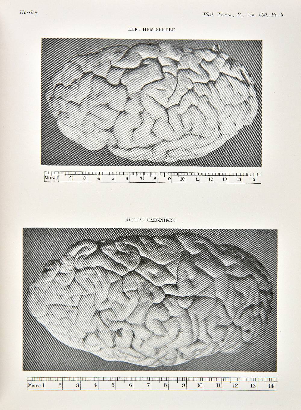Lot 387 - Horsley, Victor