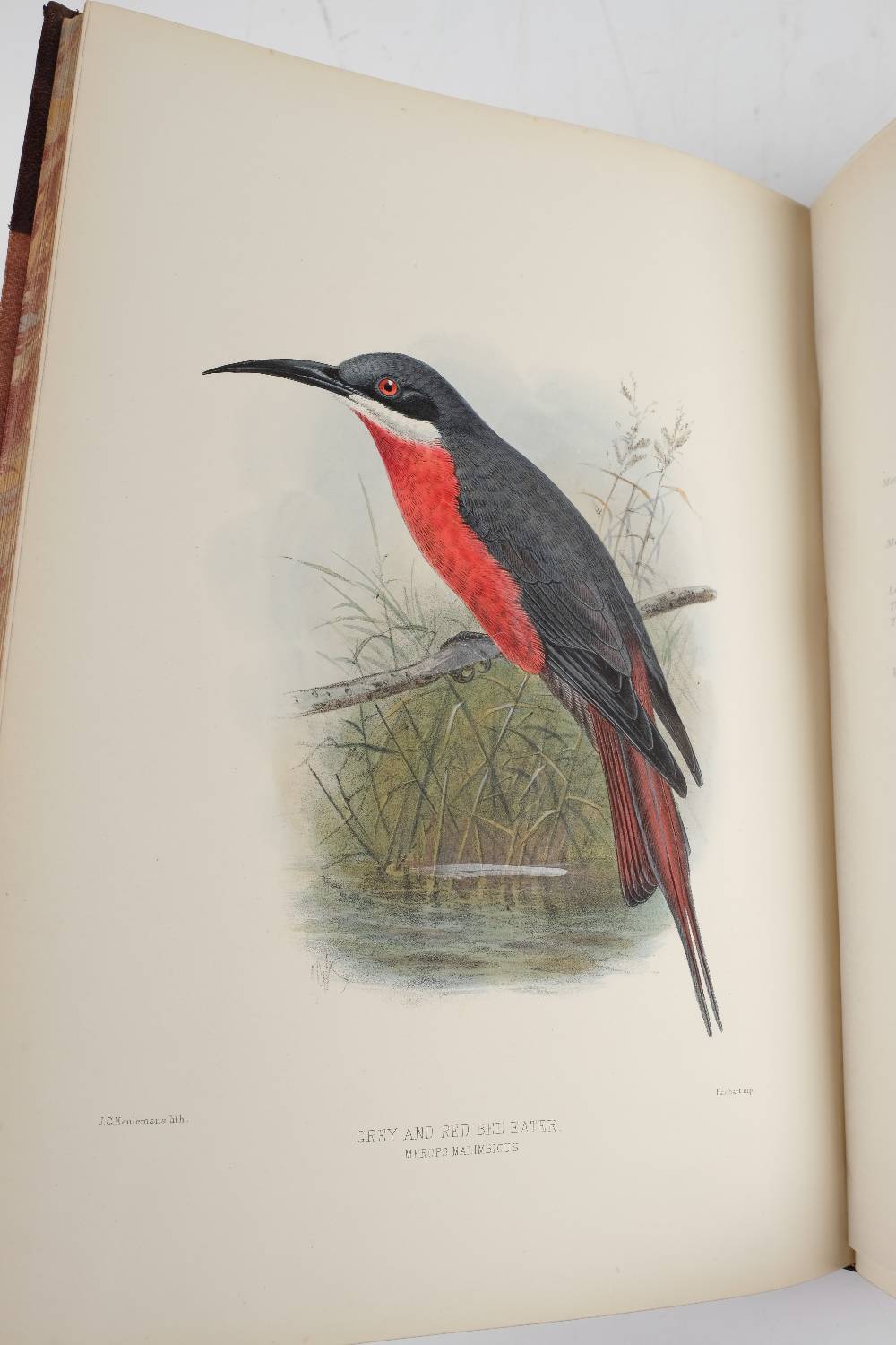 Lot 62 - Dresser, Henry Eeles