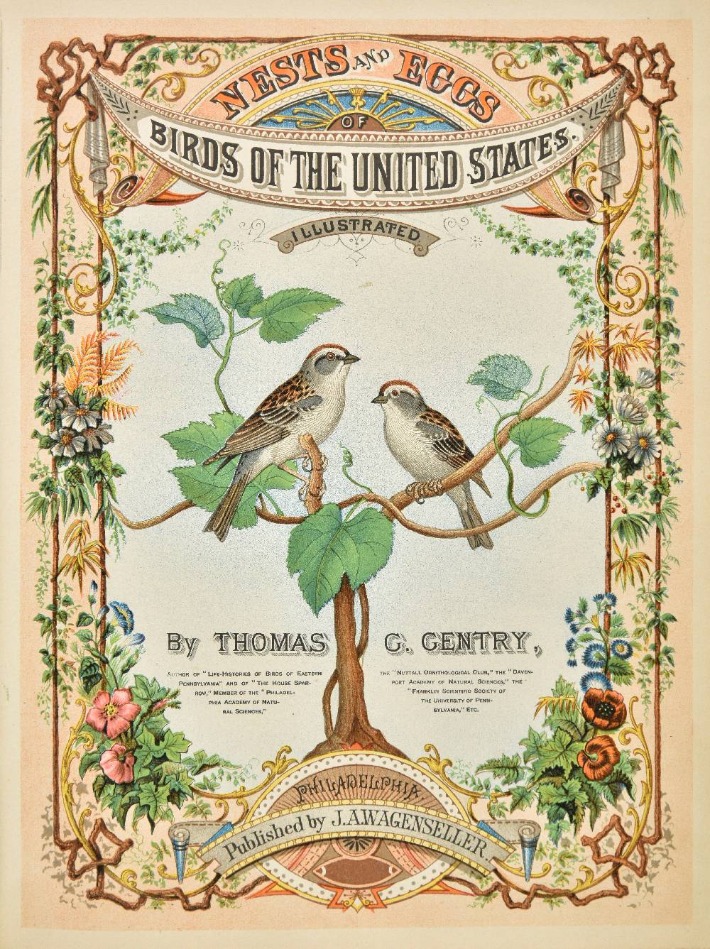 Lot 66 - Gentry, Thomas G.